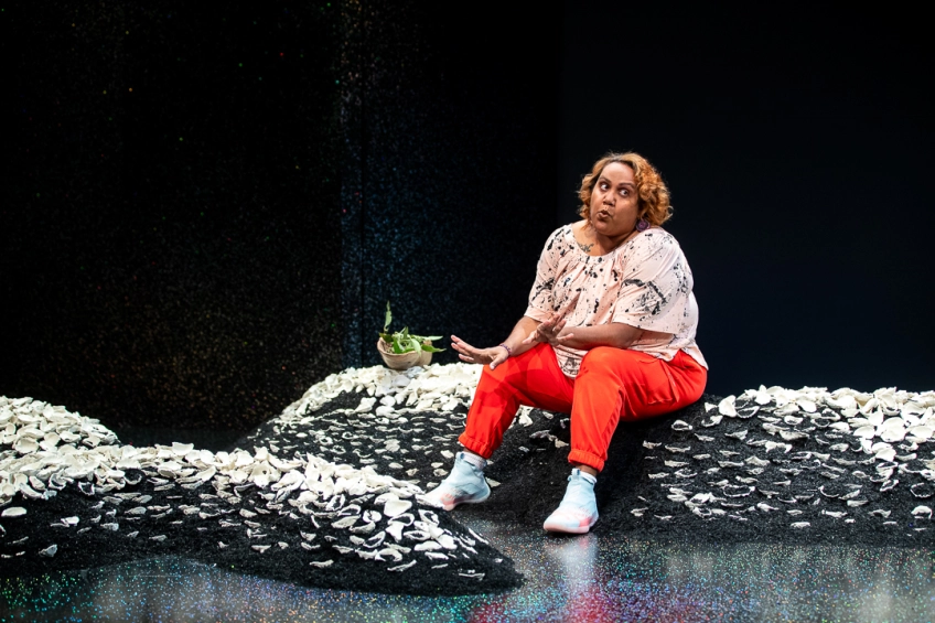 Elaine Crombie set to bring the house down with Abo... | National ...