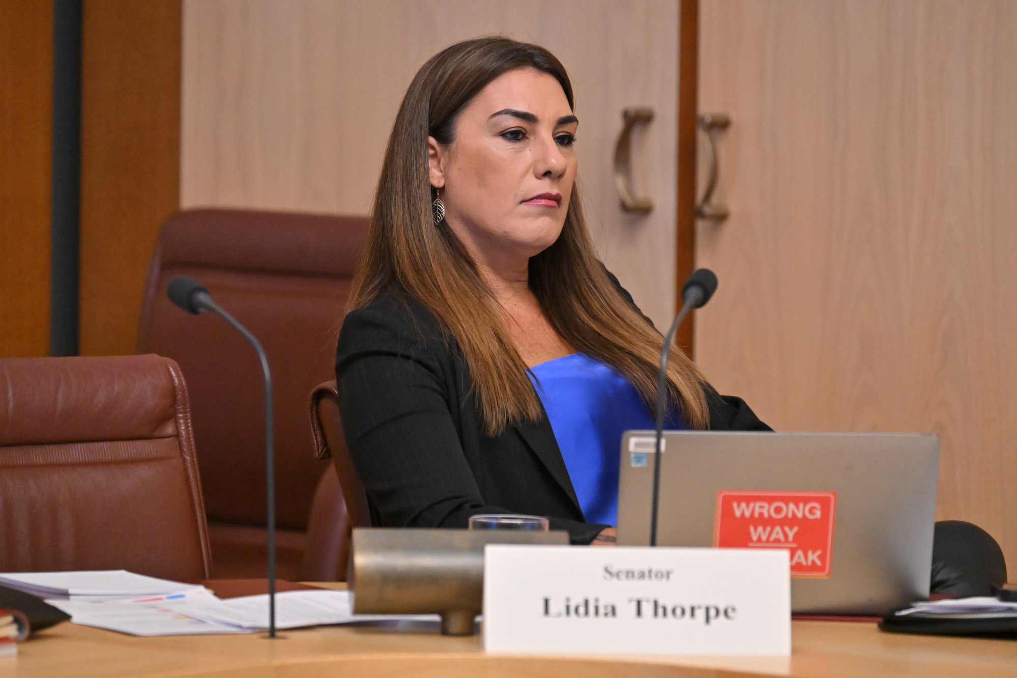 Lidia Thorpe urges federal action on Victoria over ... | National ...
