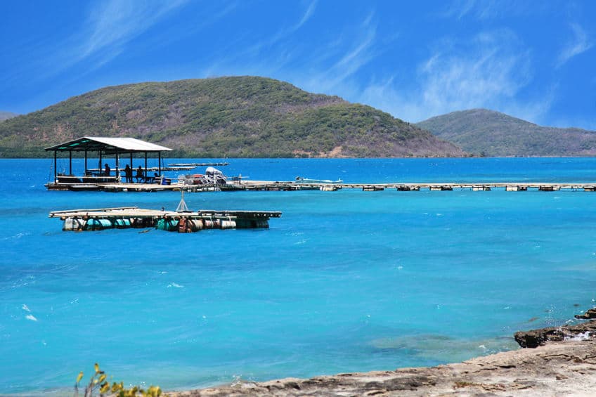 Australia's climate change inaction violates Torres... | National ...