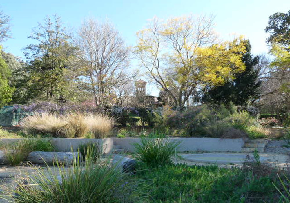 Dharug massacre memorial site teaches young Aborigi... | National ...