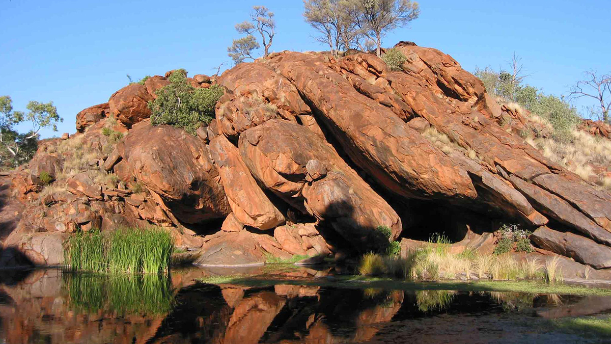 Restrictions placed on APY lands after COVID-19 det... | National ...