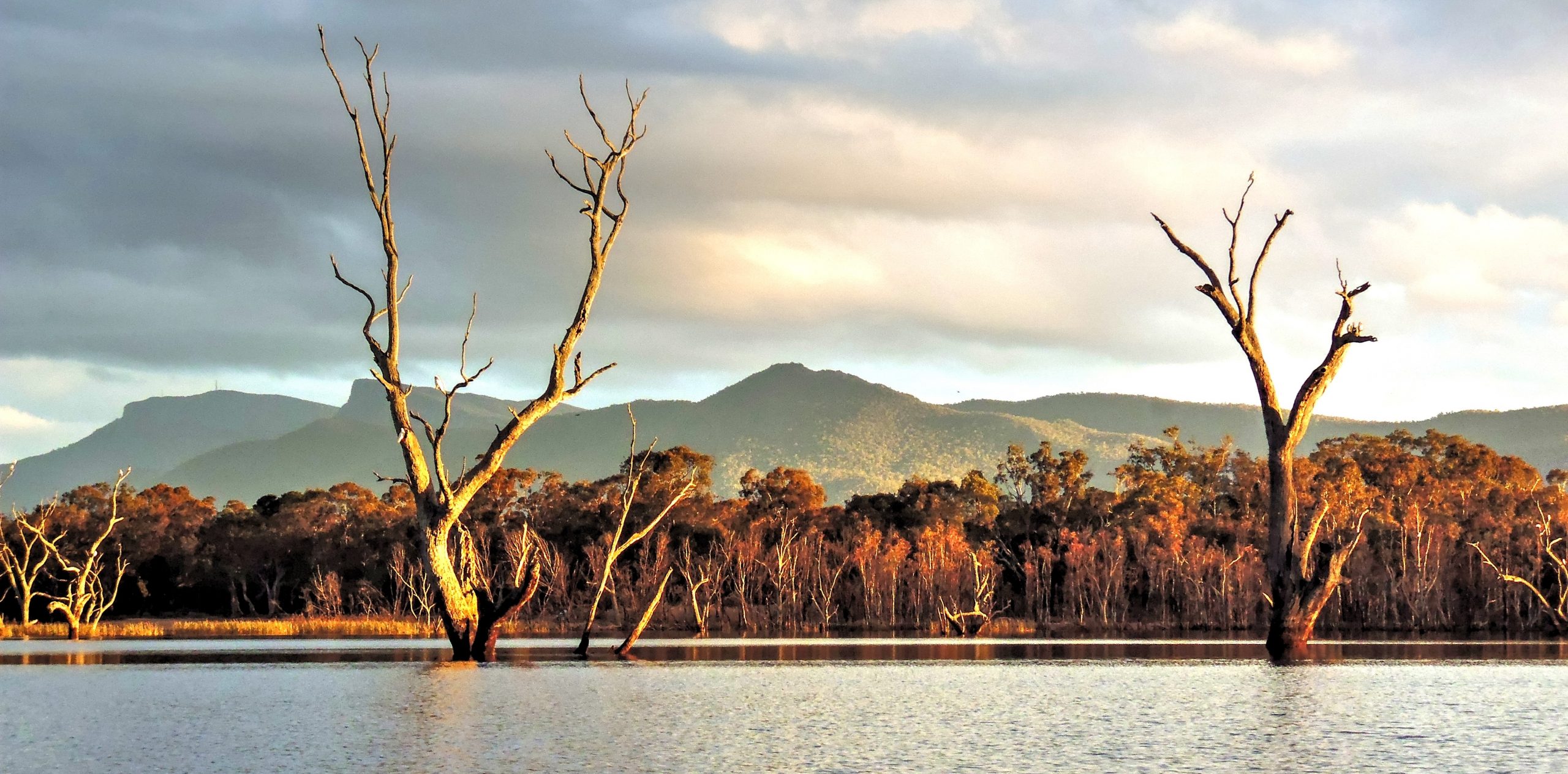 Historic Murray-Darling water deal lauded by Victor... | National ...