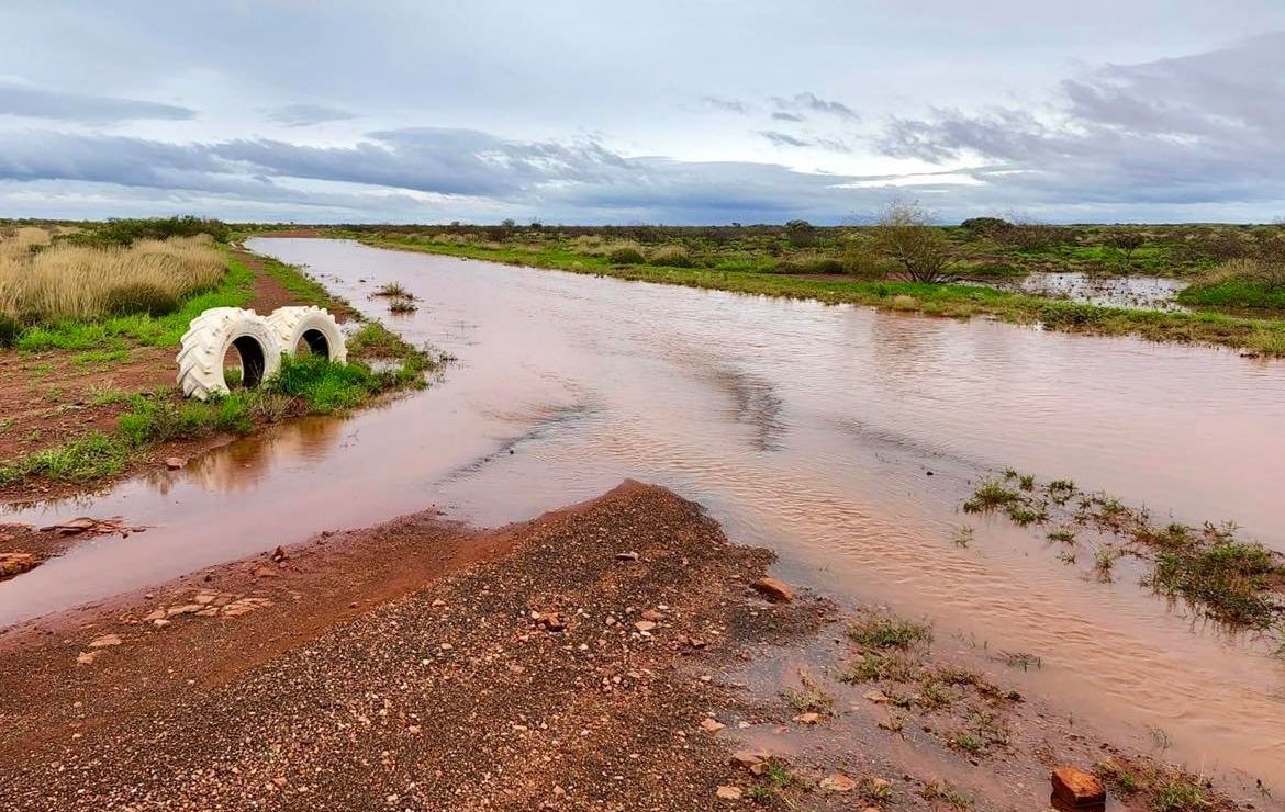 Rundown by cattle, erosion and sediment, Pilbara Ab... | National ...