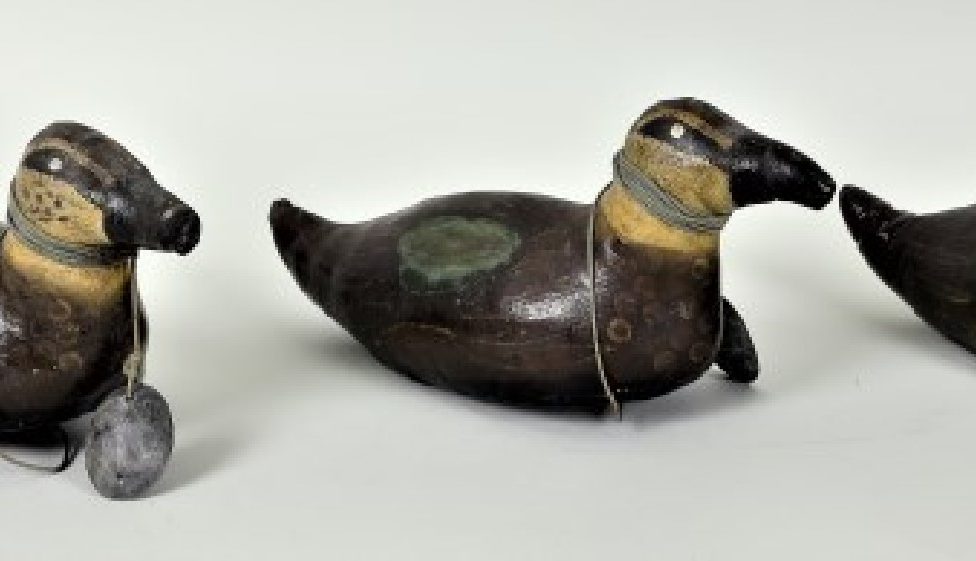 Decoy ducks used for Traditional hunting in South A... | National ...