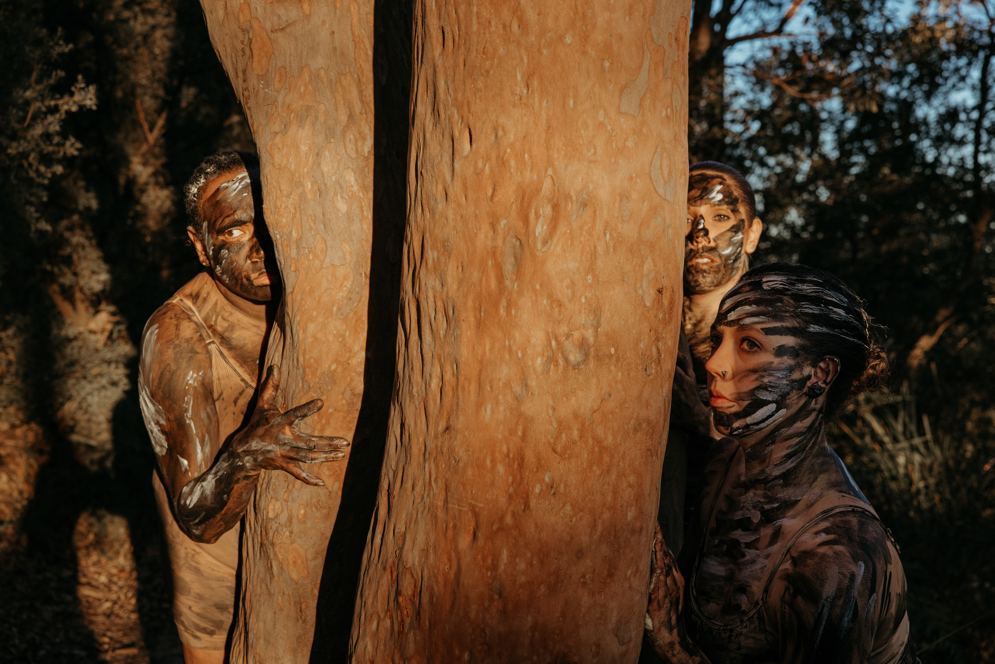 Blak Out 2025: Where art, culture, and Indigenous s... | National ...