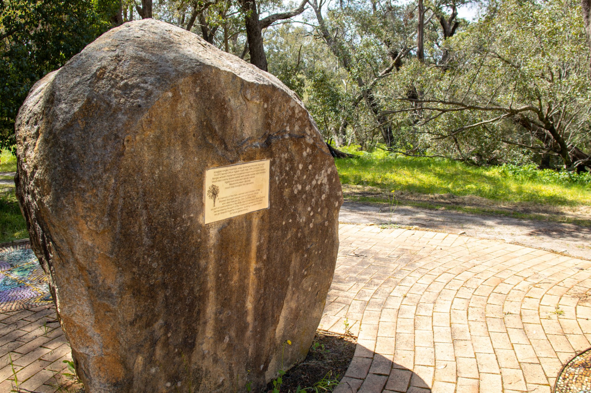 Governor of Western Australia to apologise for mass... | National ...