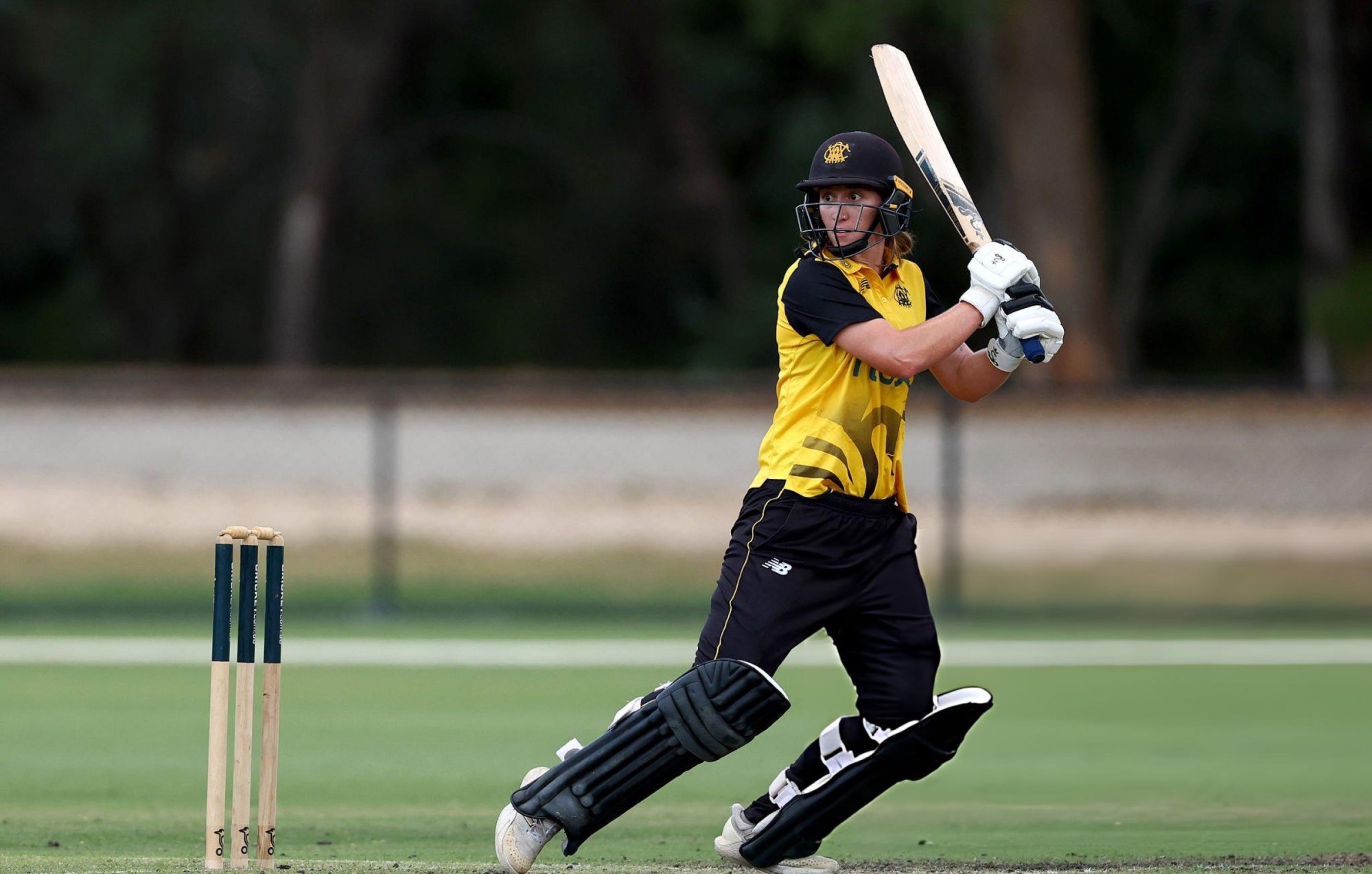 Hinkley smacks unbeaten double ton in record-settin... | National ...