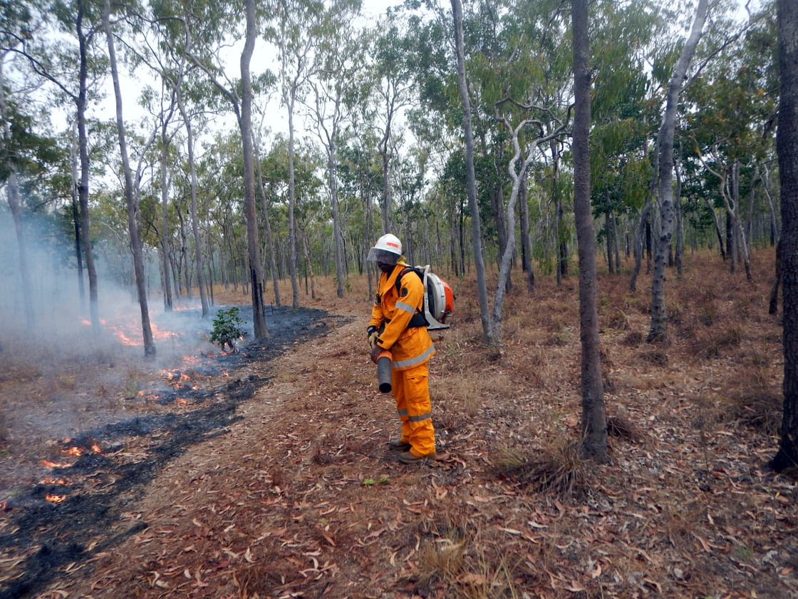 Bromley Aboriginal Corporation uses traditional fir... | National ...
