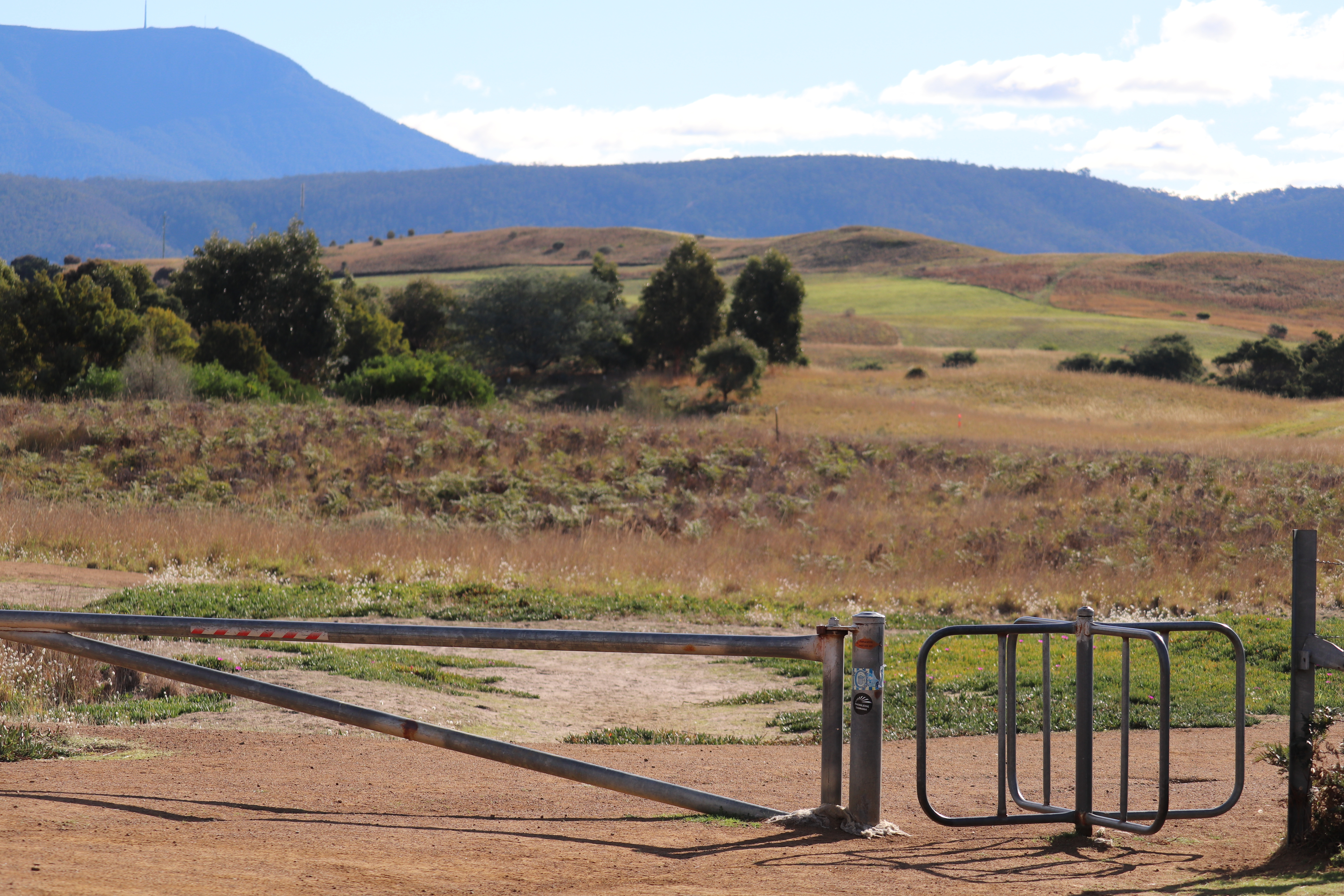 Developer's lawyer claims Aboriginal relic damage '... | National ...