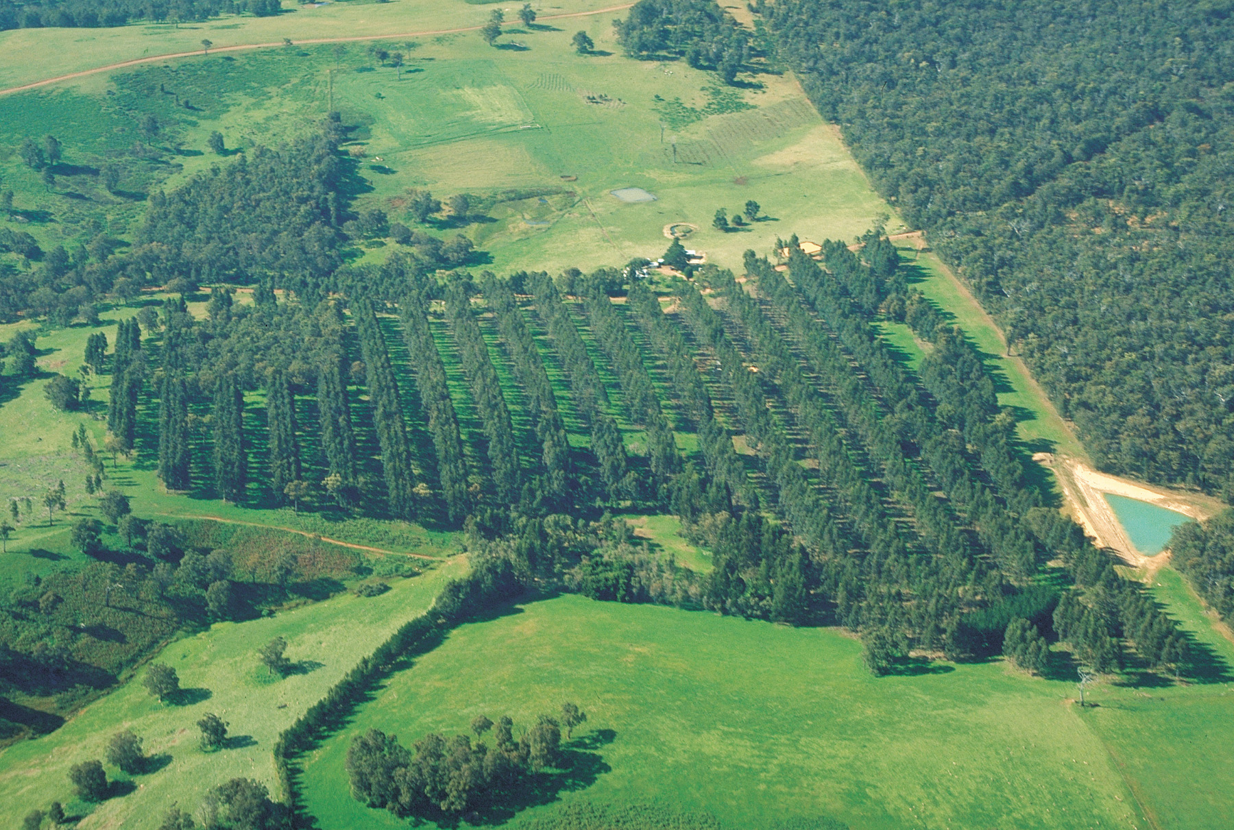 The carbon farming industry depends on Native Title... | National ...