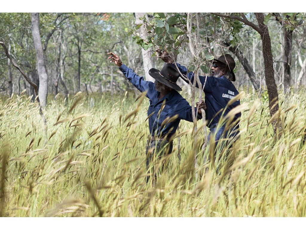 New Indigenous Land and Sea Corporation appointment... | National ...