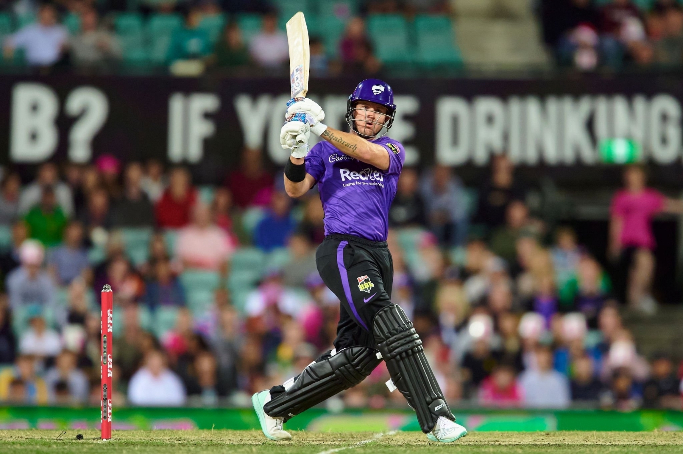 Darcy Short signs with Strikers ahead of BBL|13 | National Indigenous Times