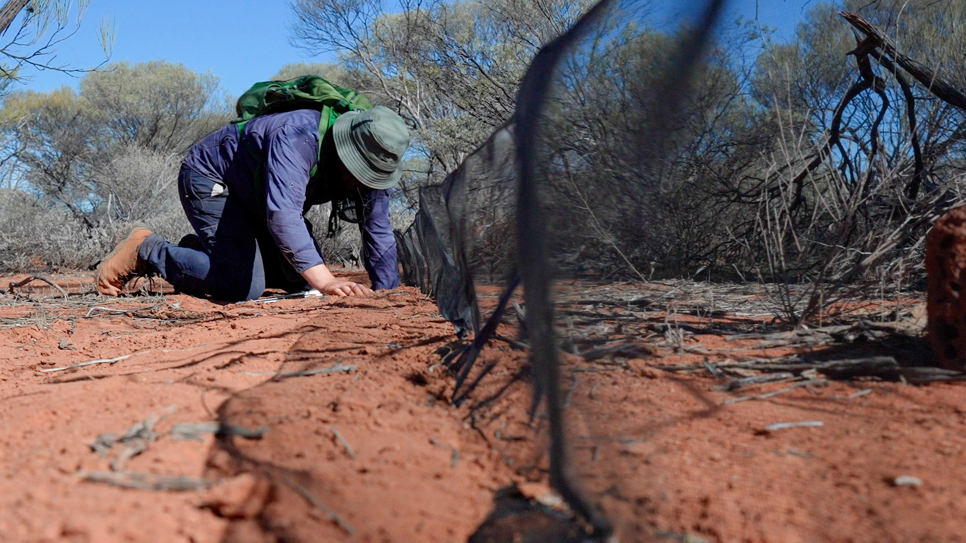 Biological survey sees myriad of native species une... | National ...