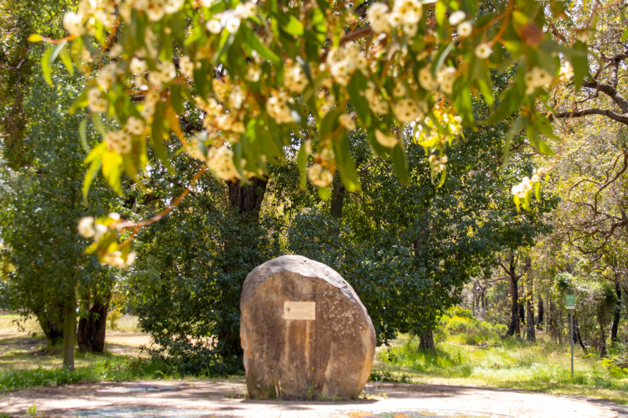 Western Australia's Governor names truth of Pinjarr... | National ...