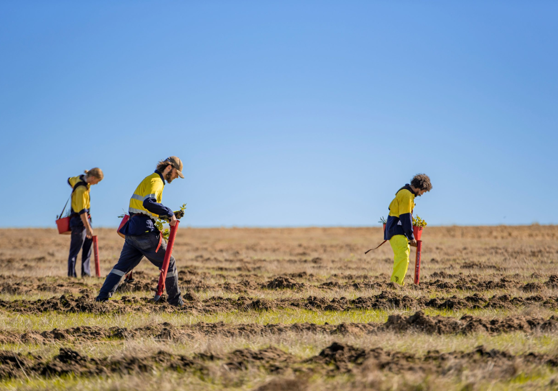 Farmers hope to tap into rich tradition of First Na... | National ...