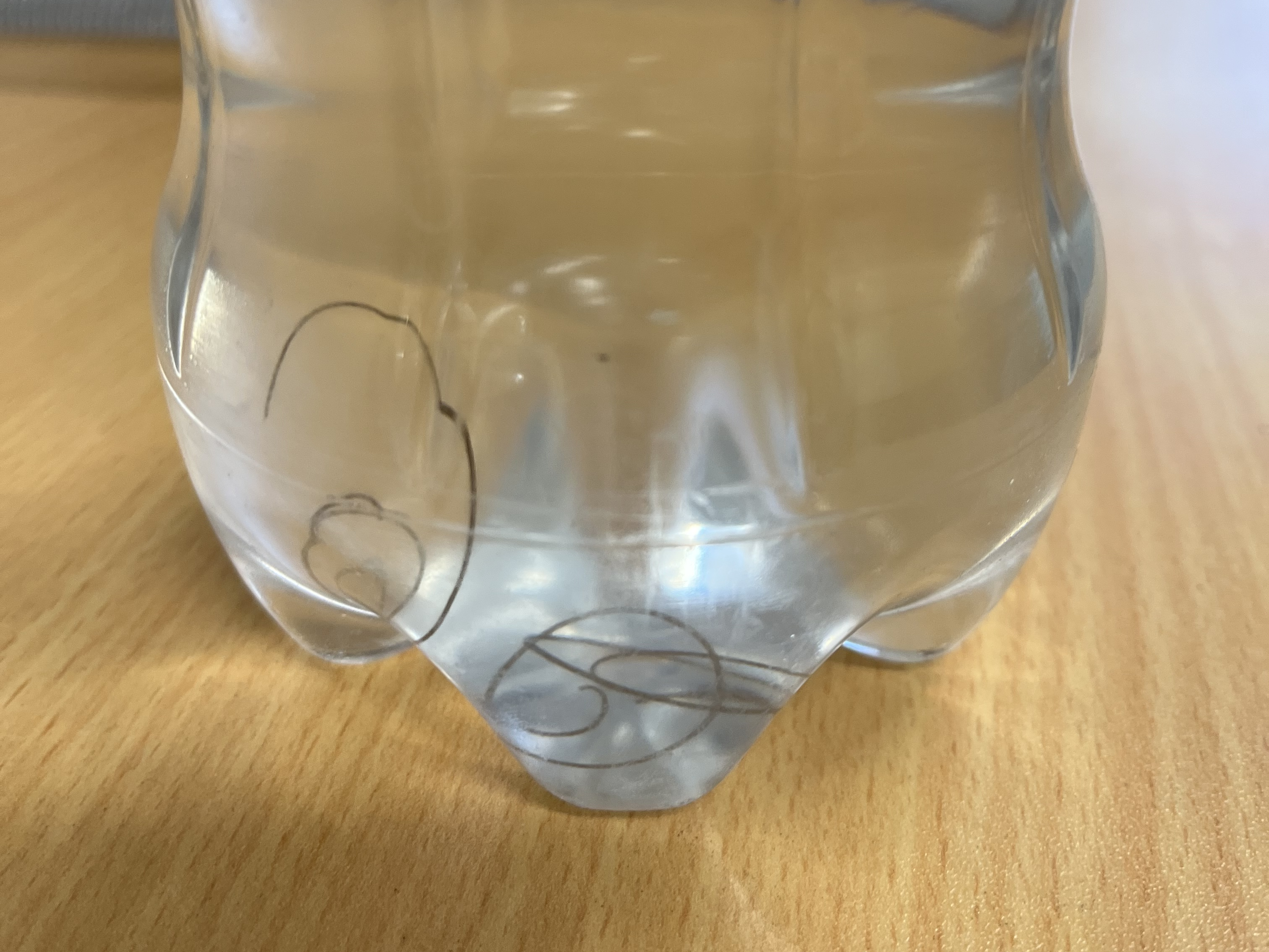 EXCLUSIVE: Discovery of worms in Fitzroy Valley tap... | National ...