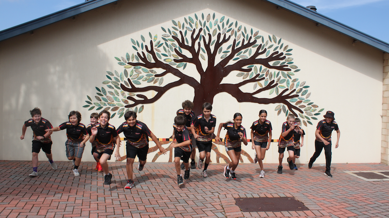 Charity calls for more resources to support Indigen... | National ...