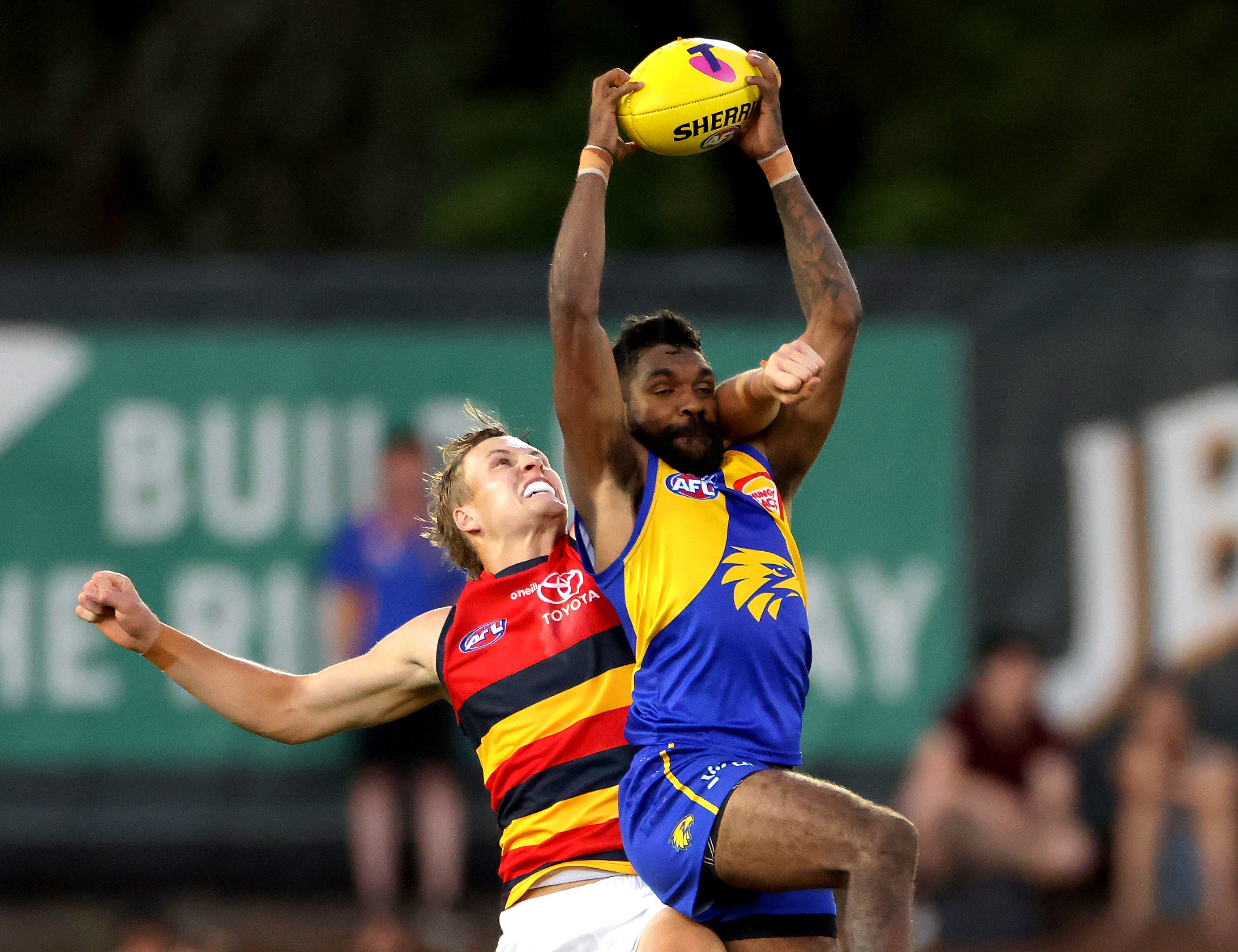 Eagles eyeing Flyin' Ryan return as confidence rebu... | National ...