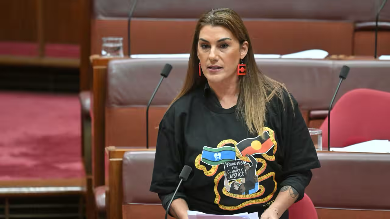 Thorpe proposes gun reform amendment to track polic... | National ...