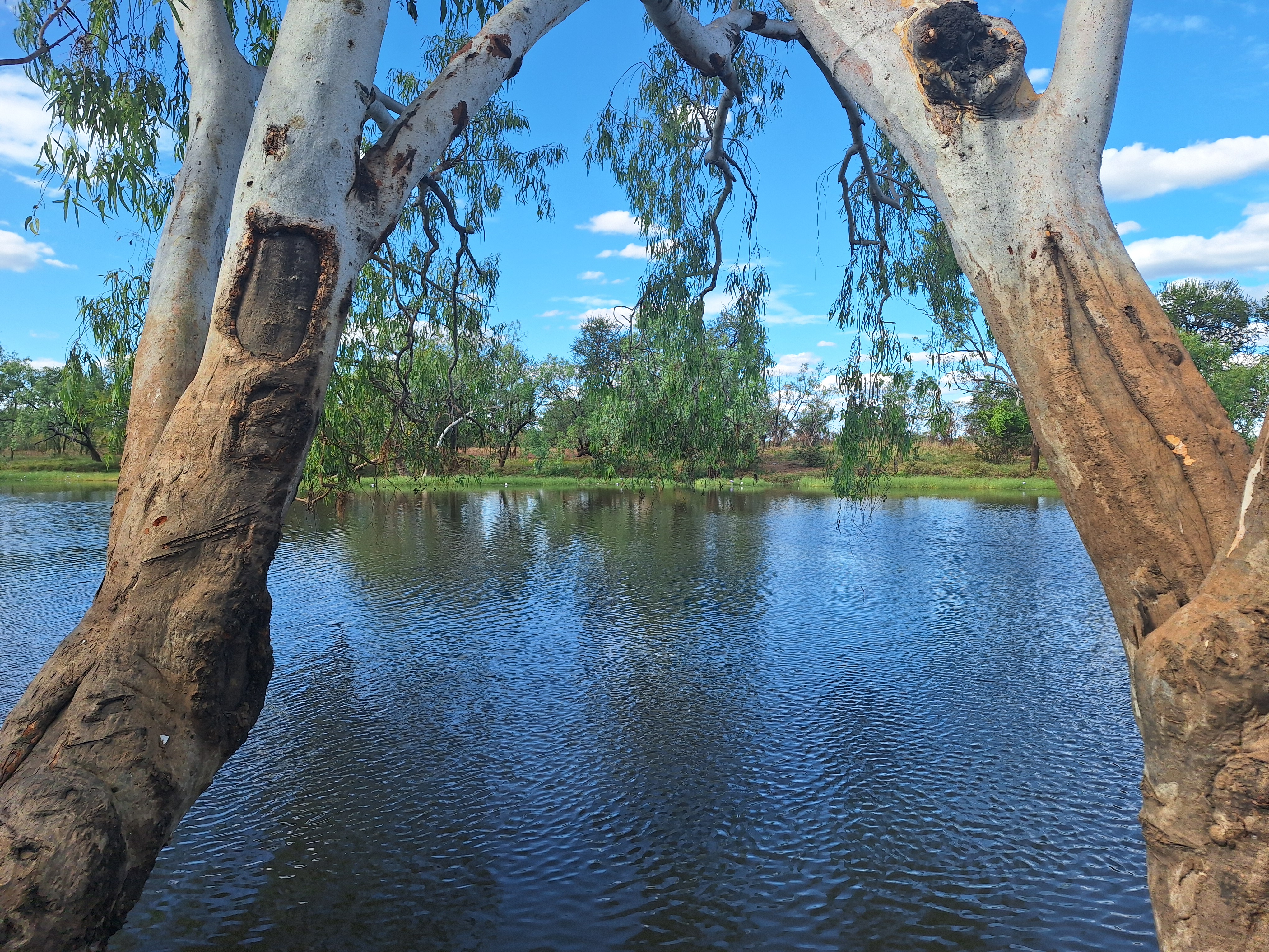 Roper River Traditional Owners urge NT government t... | National ...