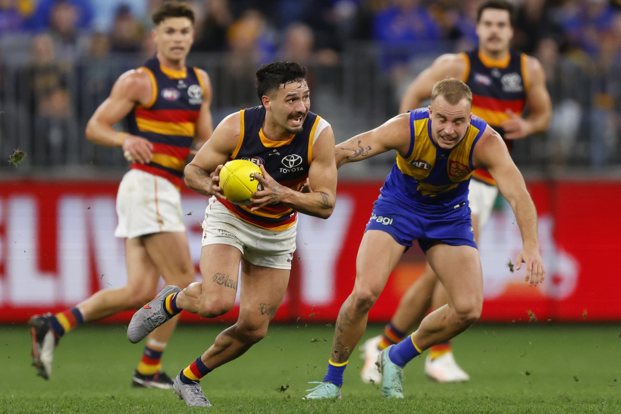 Crows coach backed call for Rankine to head oversea... | National ...