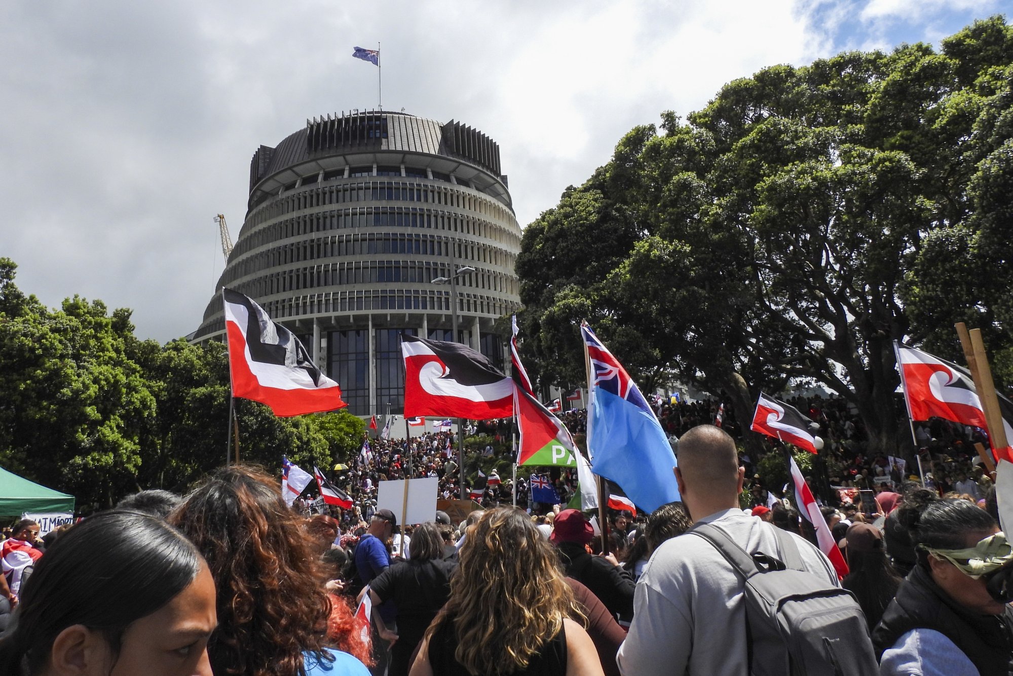 Unplanned haka halts NZ parliament after MP's speec... | National ...