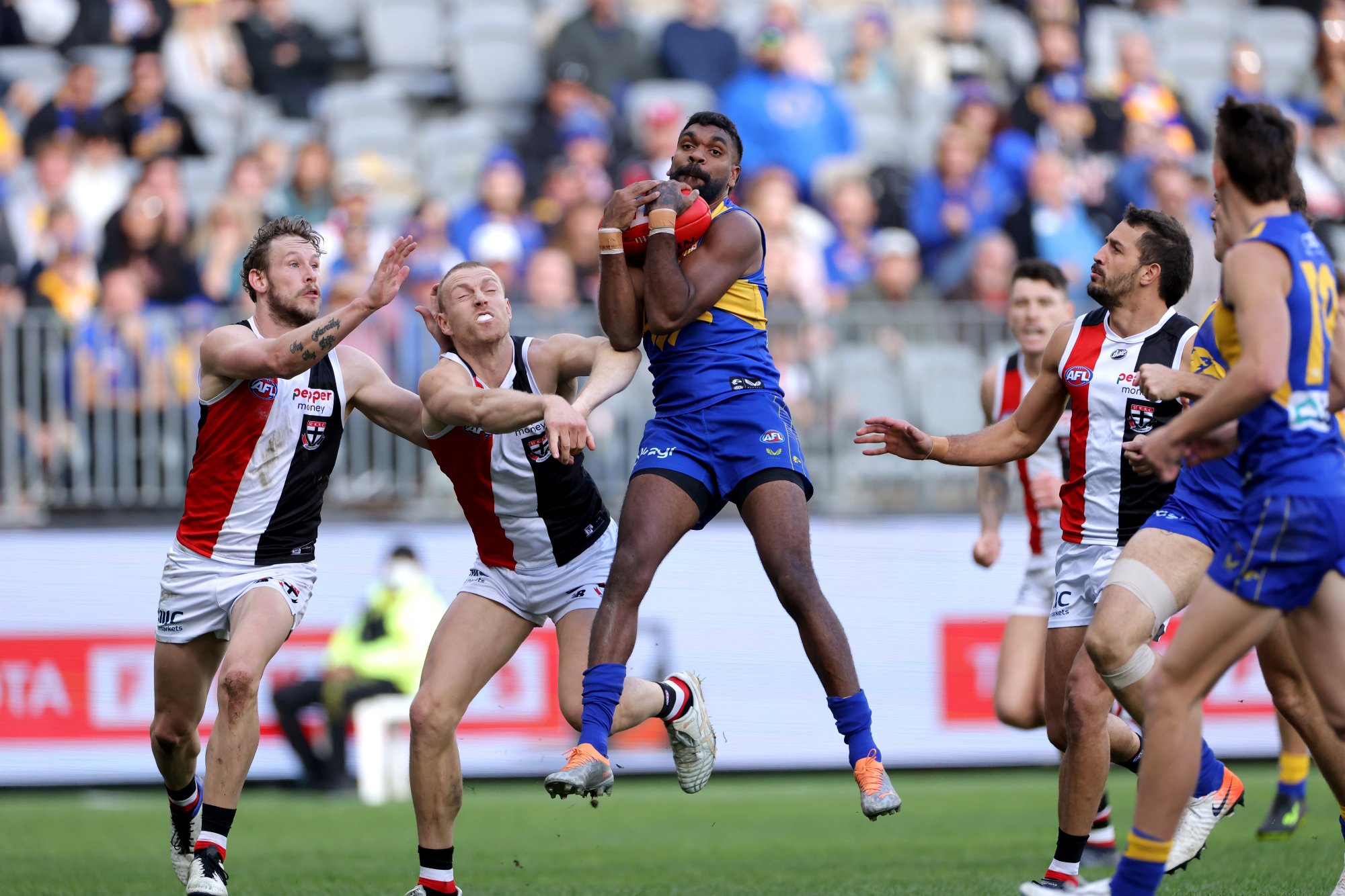 Liam Ryan departs Eagles for St Kilda with historic... | National ...