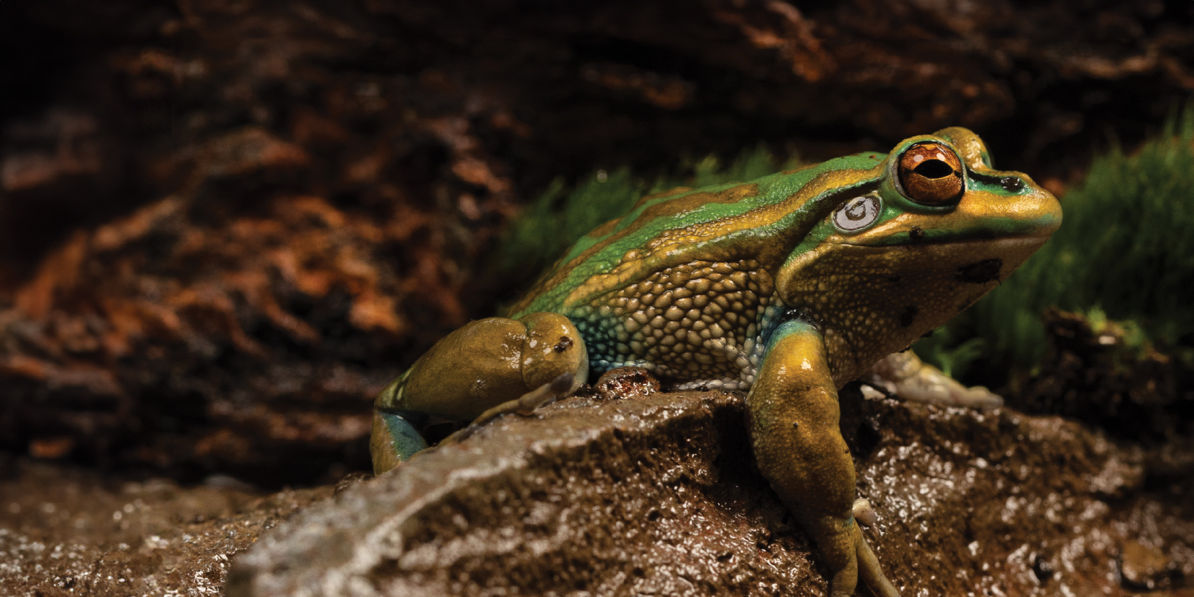 First Nations scientist highlights ecological impor... | National ...