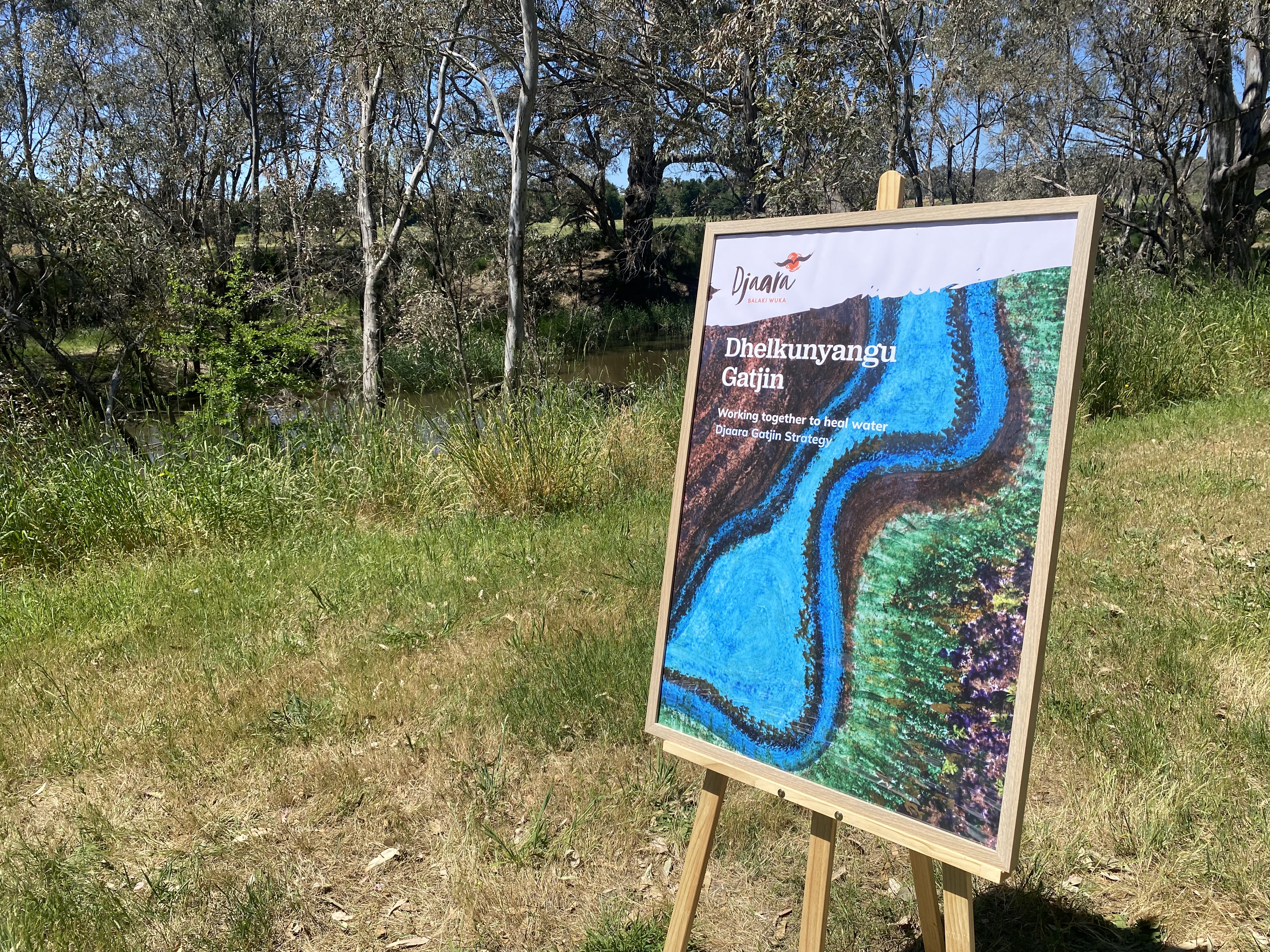 Djaara Aboriginal enterprise launch strategy to hea... | National ...