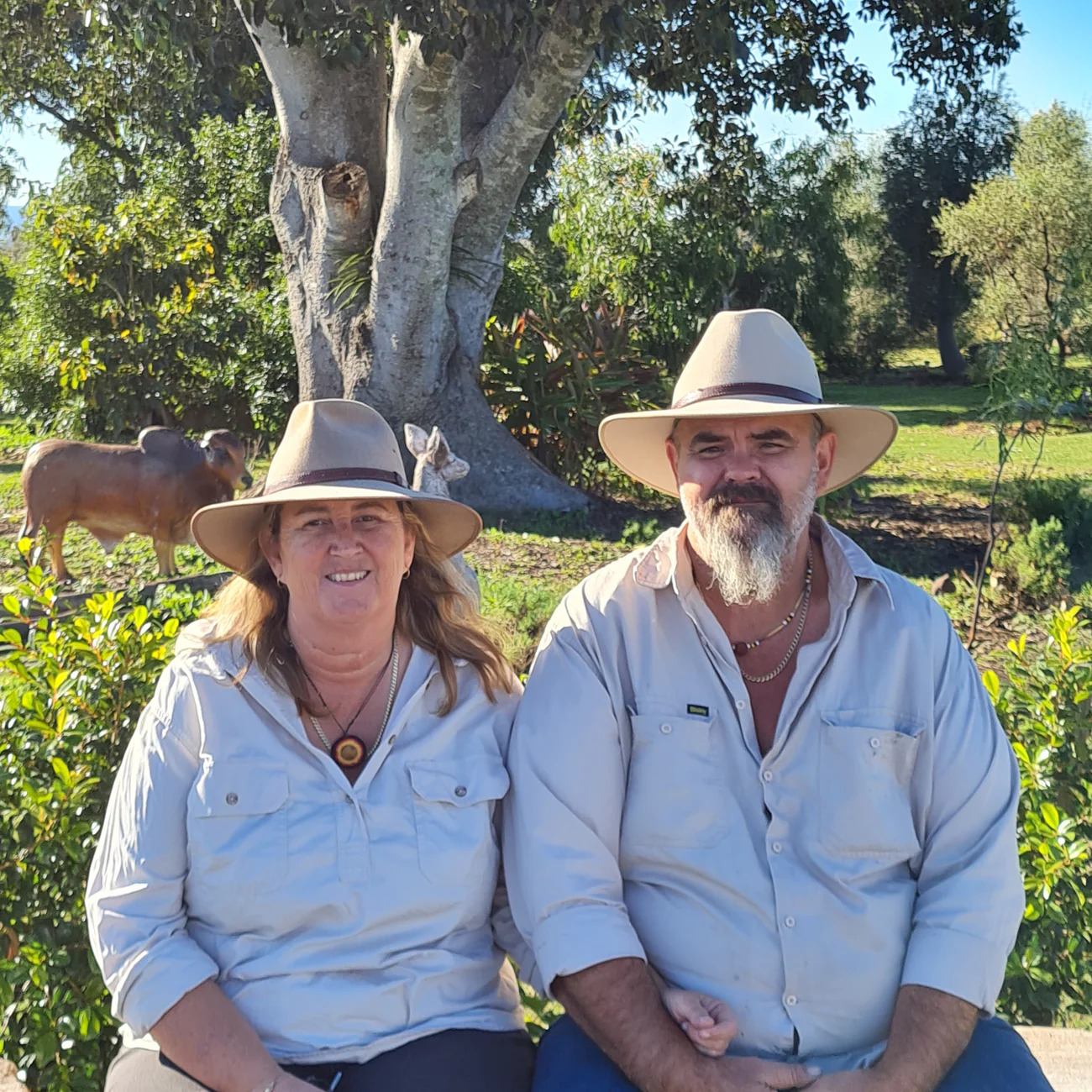 Indigenous owned business left hanging after contra... | National ...