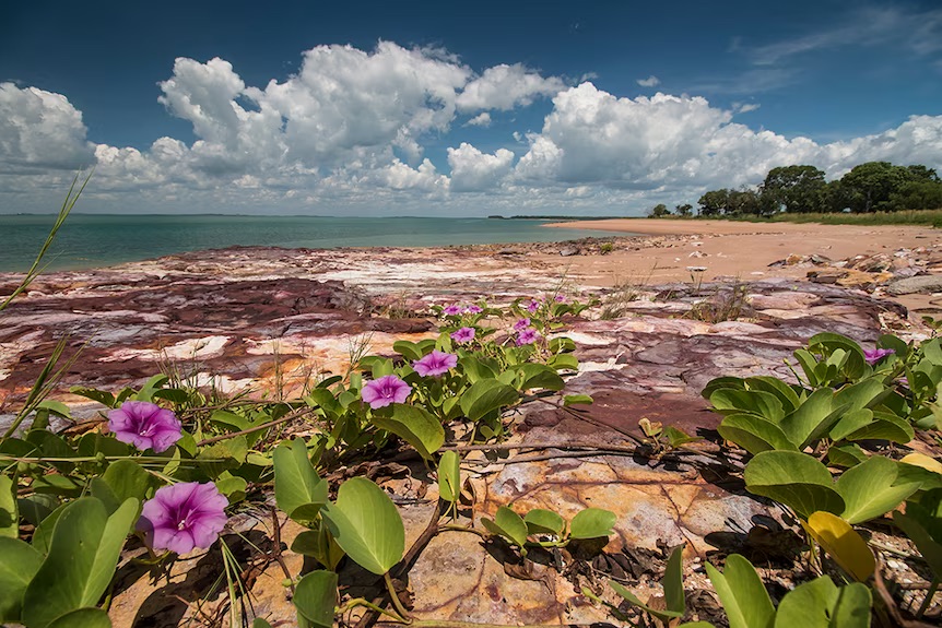 45 years in the making, Kenbi land claim sees parts... | National ...