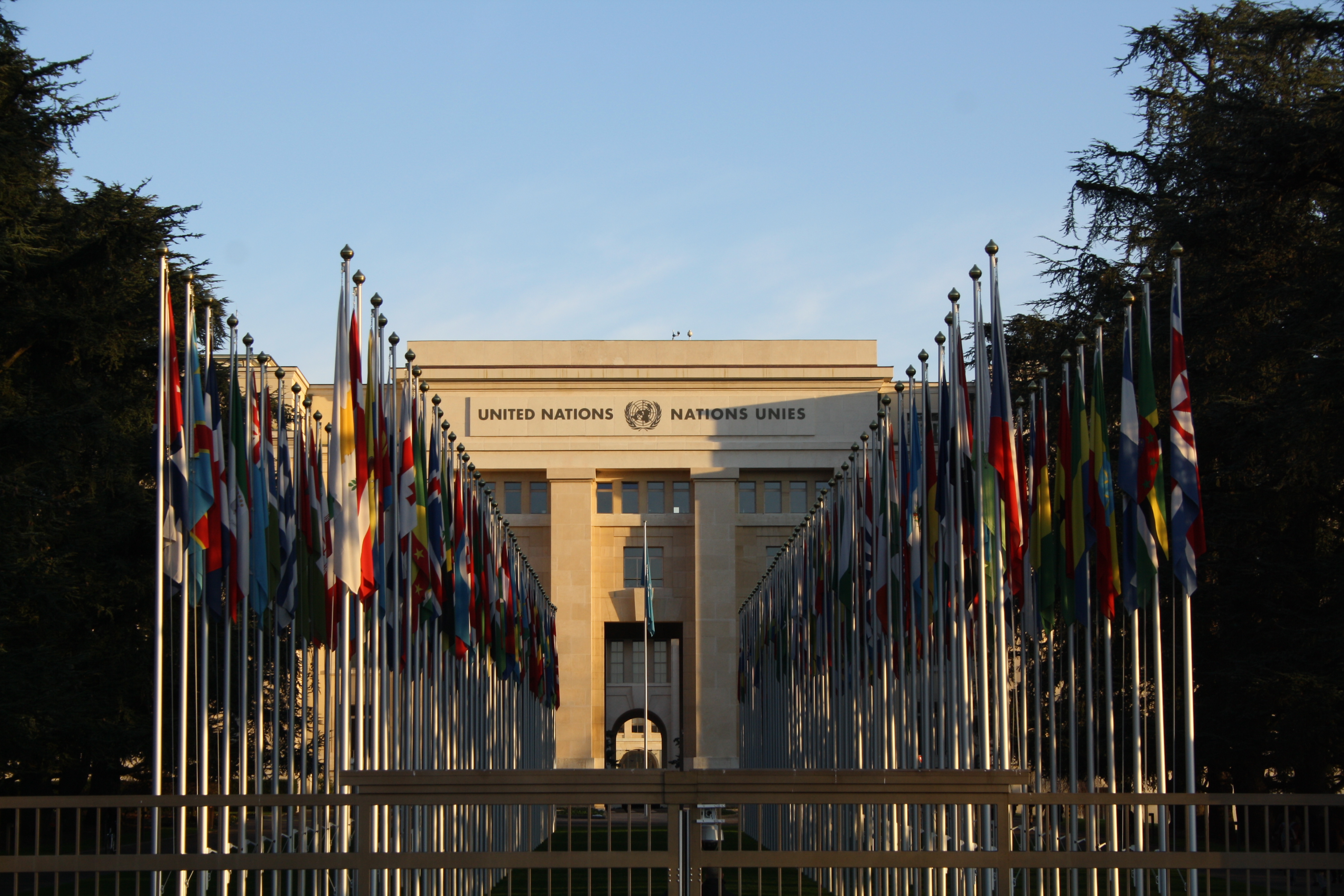 Amnesty front UN to highlight the "deplorable state... | National ...