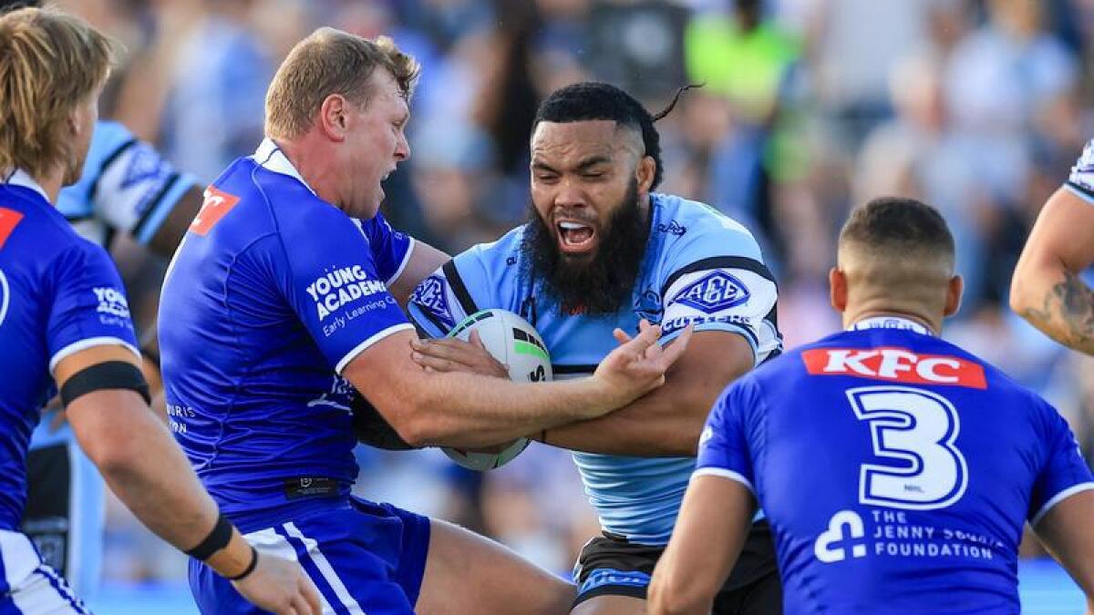 Talakai happy to stay in pack to help depleted Shar... | National ...