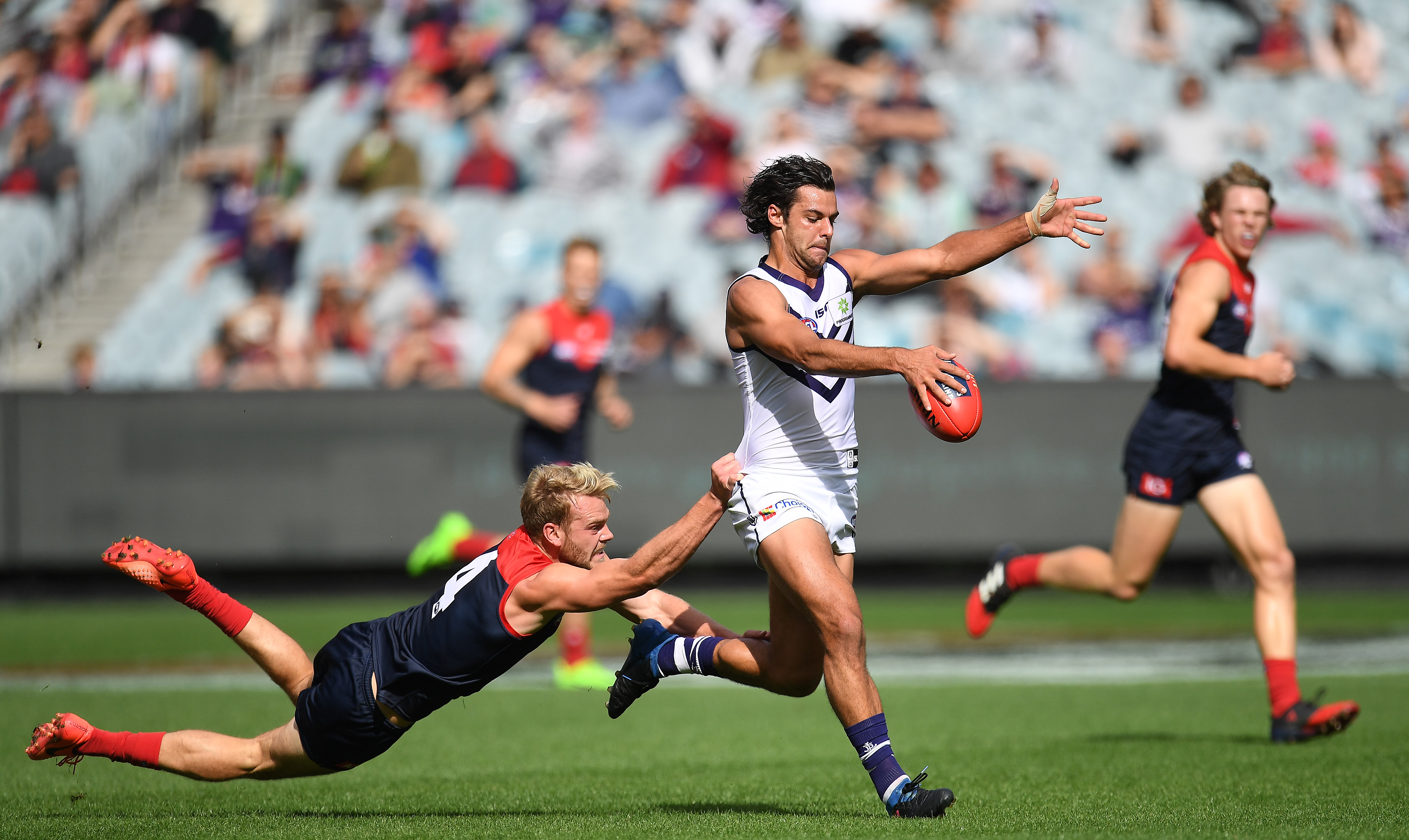 Former Docker Brady Grey joins Magpies as VFL playe... | National ...