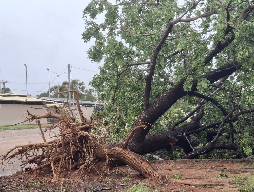 Heavy rain soaks Kimberley as ex-Cyclone Luana move... | National ...
