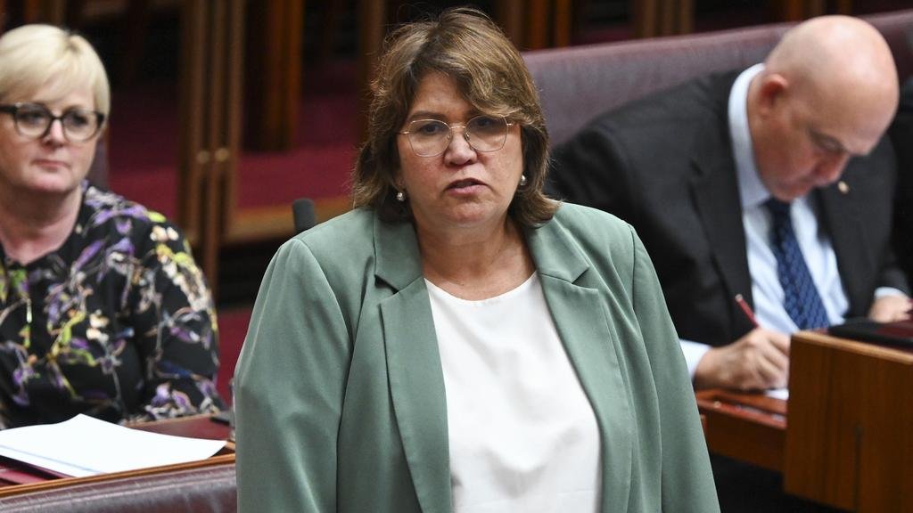 'Not good enough': Liddle slams Services Australia ... | National ...