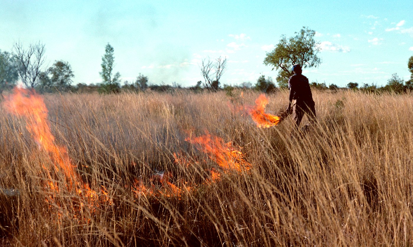 Indigenous fire management started 11,000 years ago... | National ...