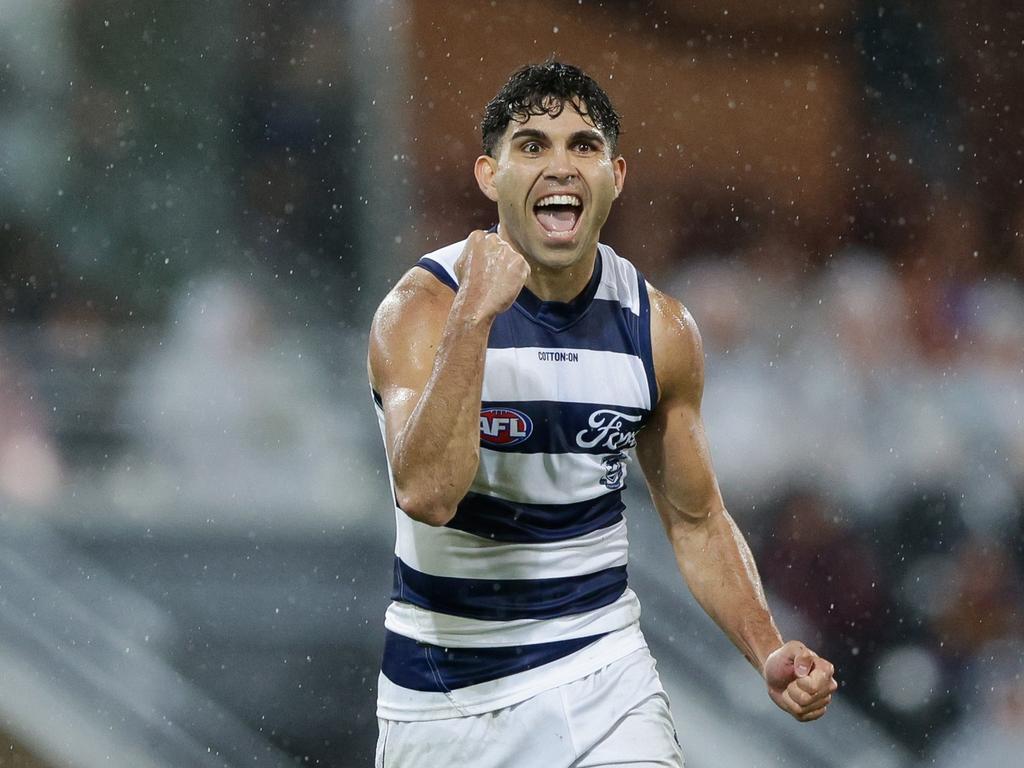 Stengle shines in the Cats' win over Brisbane | National Indigenous Times