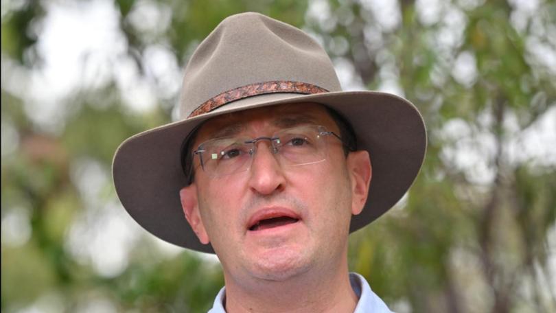 Liberal MP makes last-ditch plea for voice 'yes' vo... | National ...