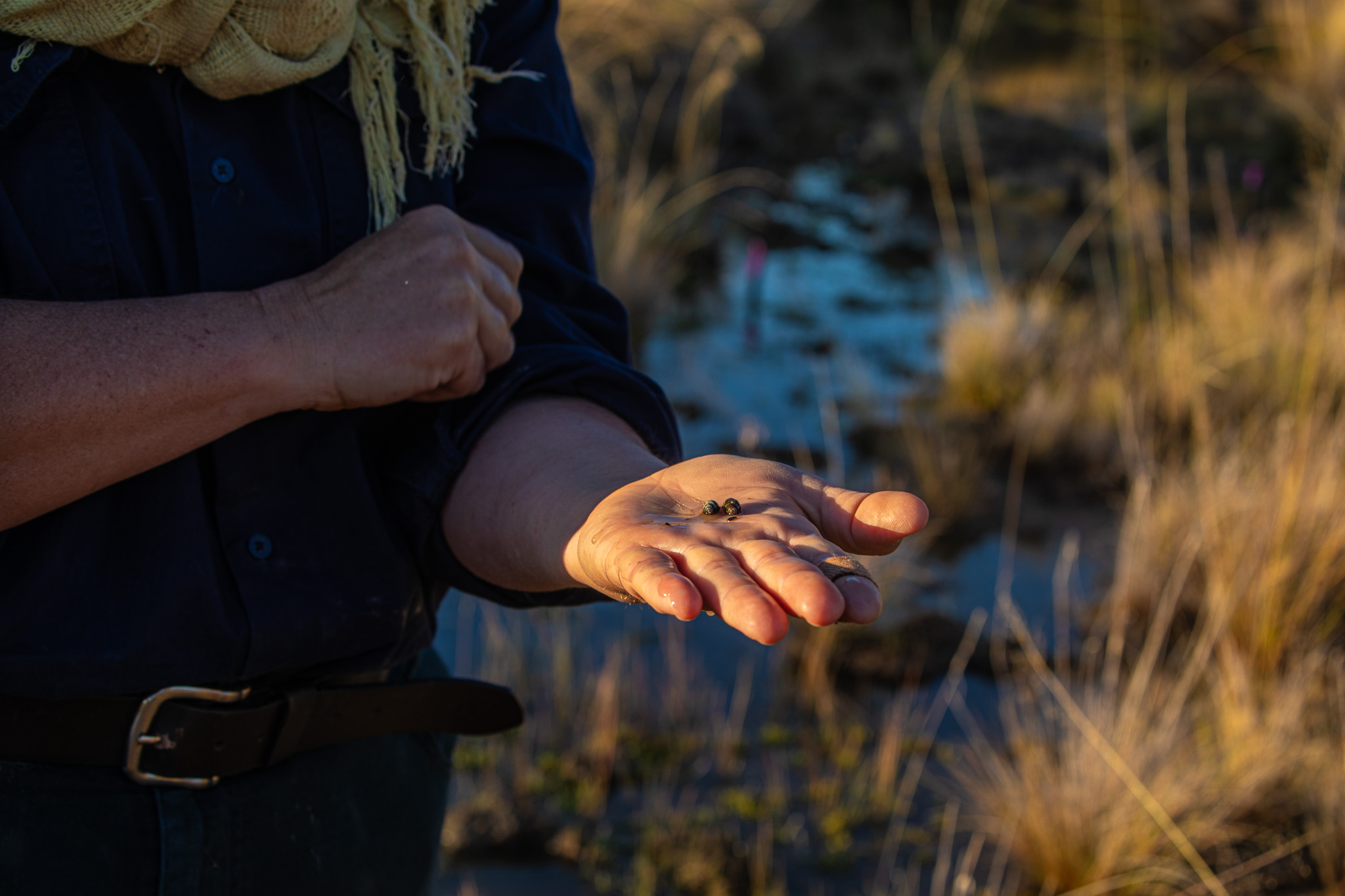 Bidjara Traditional Owners welcome Edgbaston Reserv... | National ...
