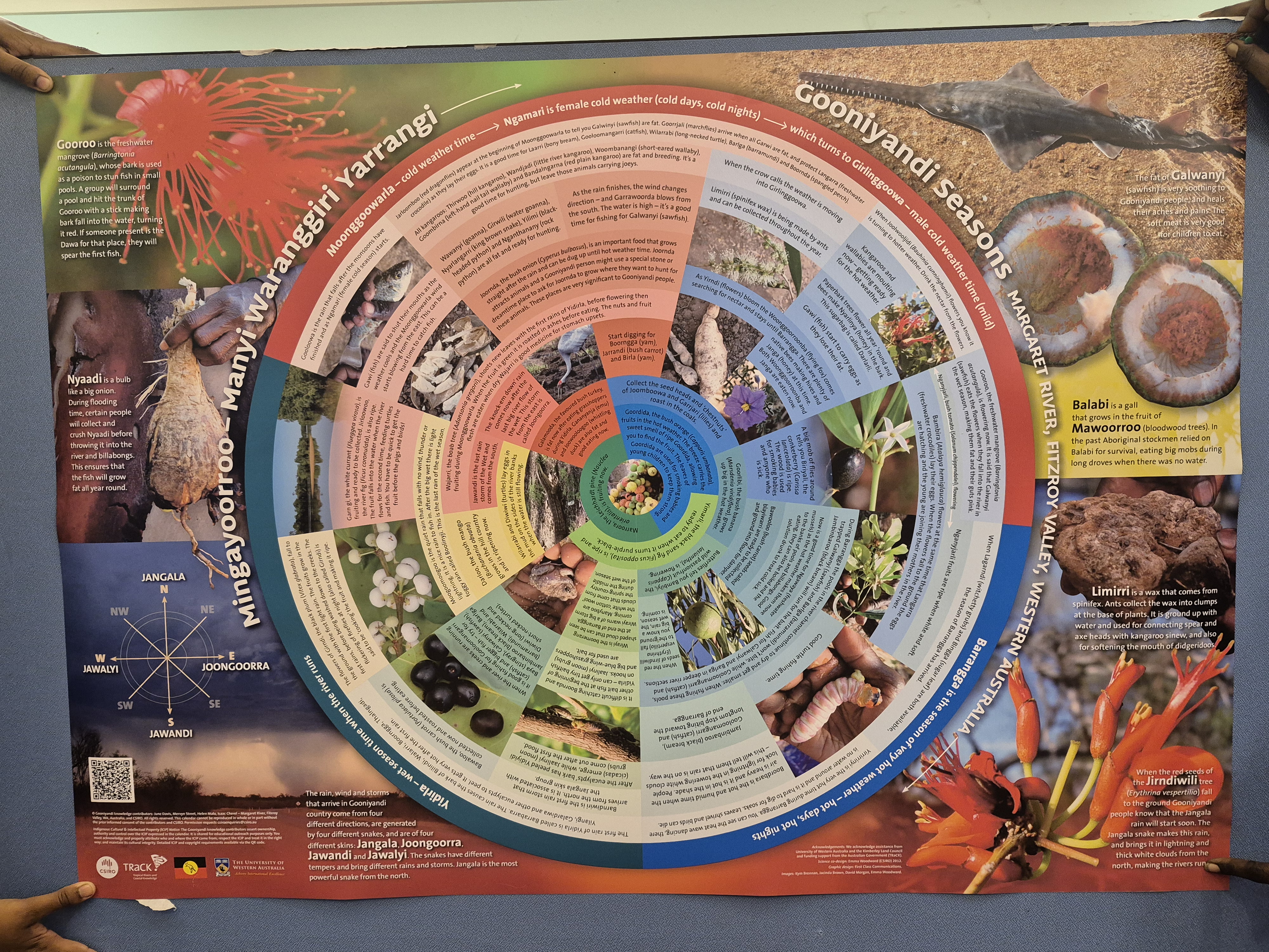 Mangarri man: reading the seasons | National Indigenous Times