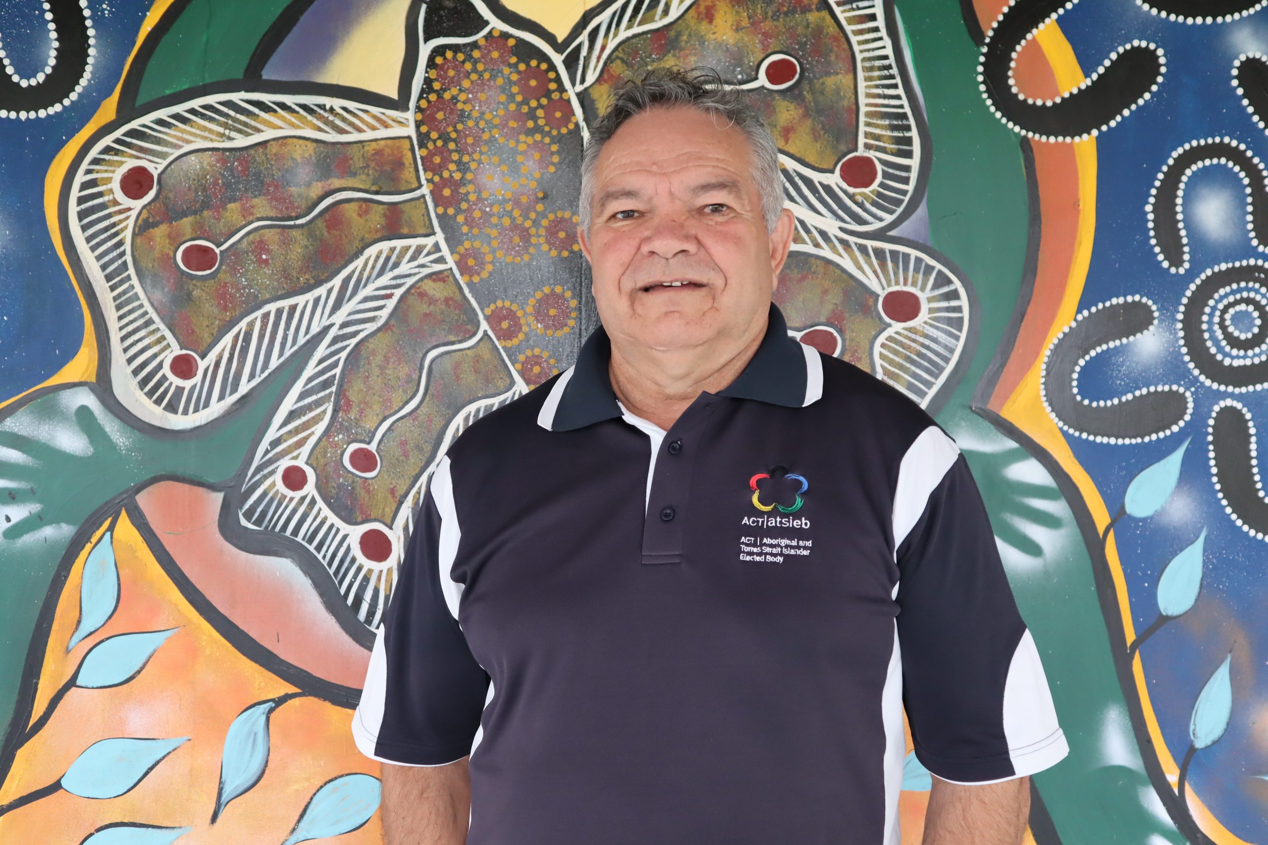 Indigenous Elected Body report reveals only four of... | National ...