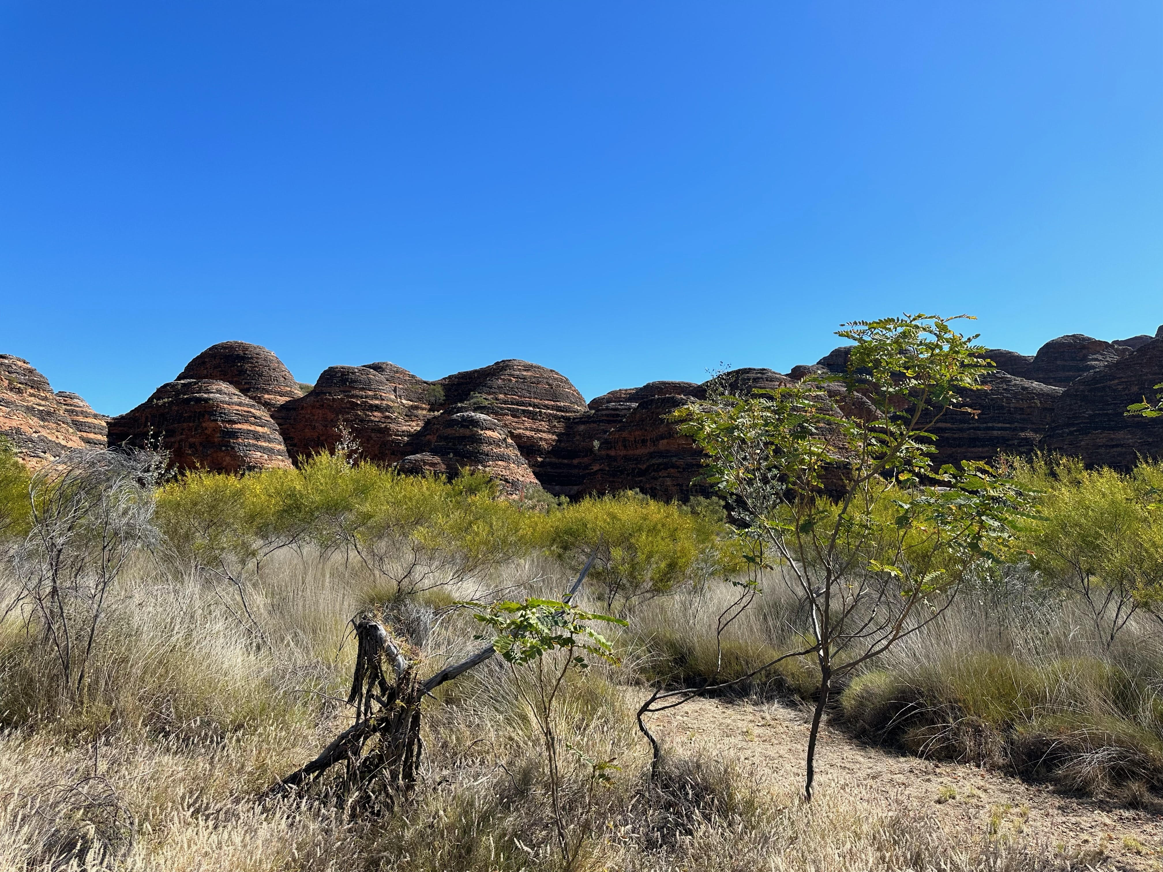 Historic Purnululu and Gajangana Jaru native title ... | National ...