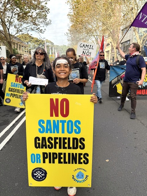 Gomeroi Traditional Owners urge NSW government to d... | National ...