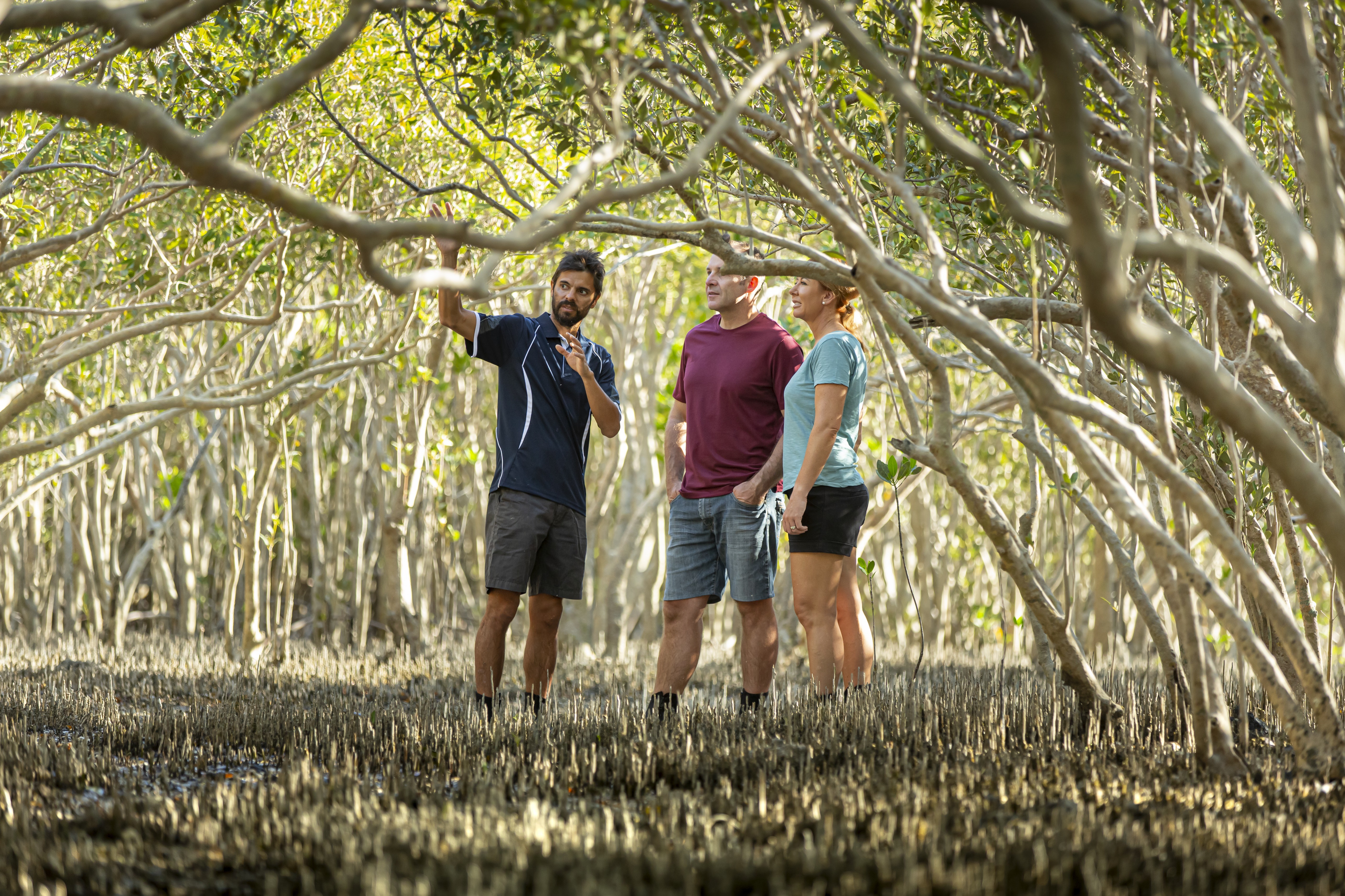 Bart Pigram's journey to showcasing Broome's Indige... | Indigenous ...