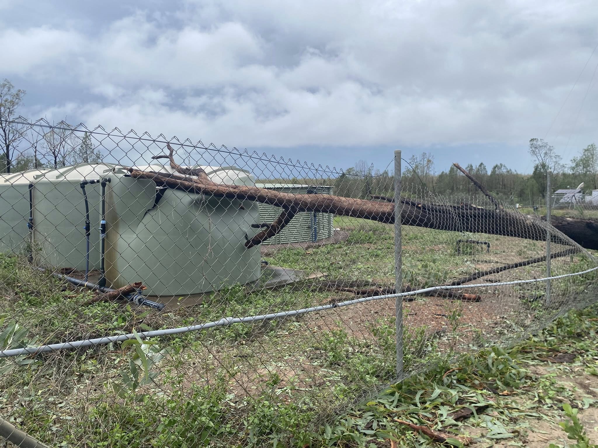 $500,000 raised - to be doubled - for cyclone-hit T... | National ...