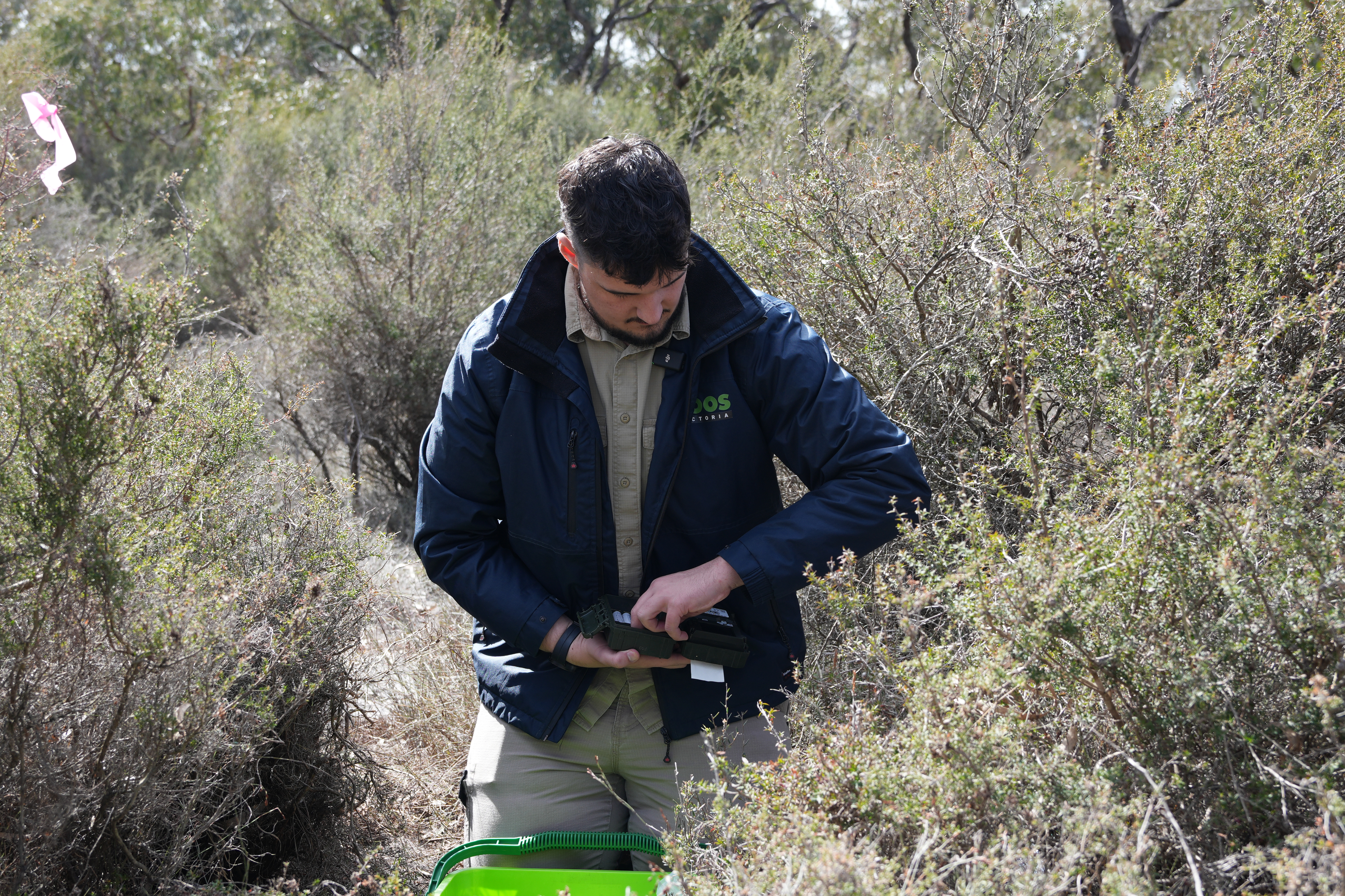 Ryan Archer is helping save the future of this enda... | National ...