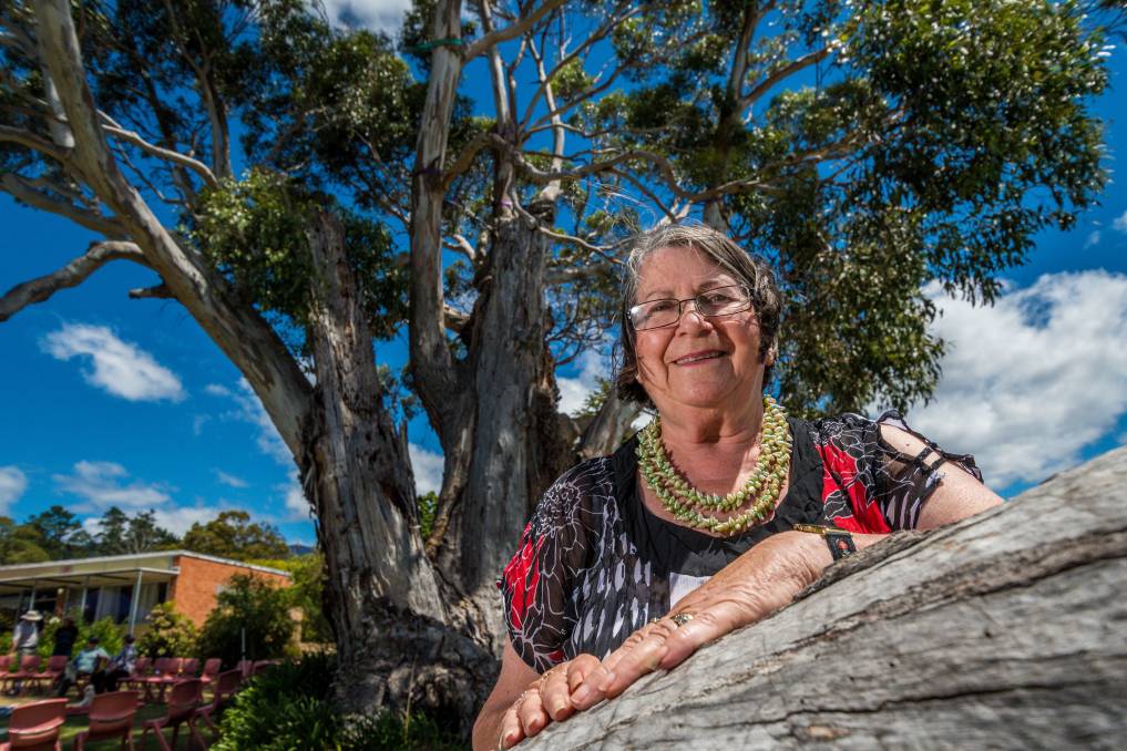 Aunty Patsy Cameron's children's picture book Sea C... | National ...