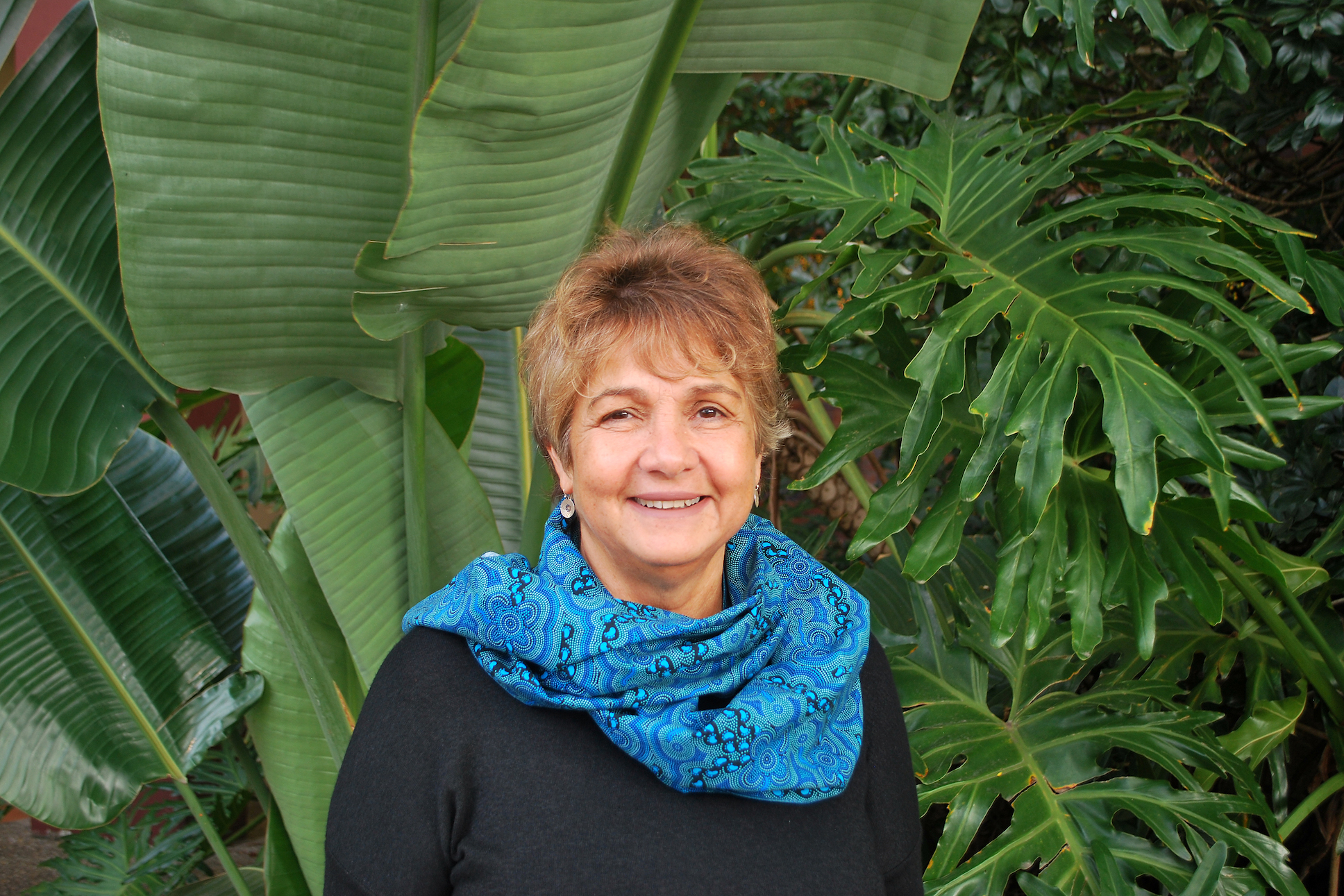 Indigenous health pioneers working to overcome ineq... | National ...