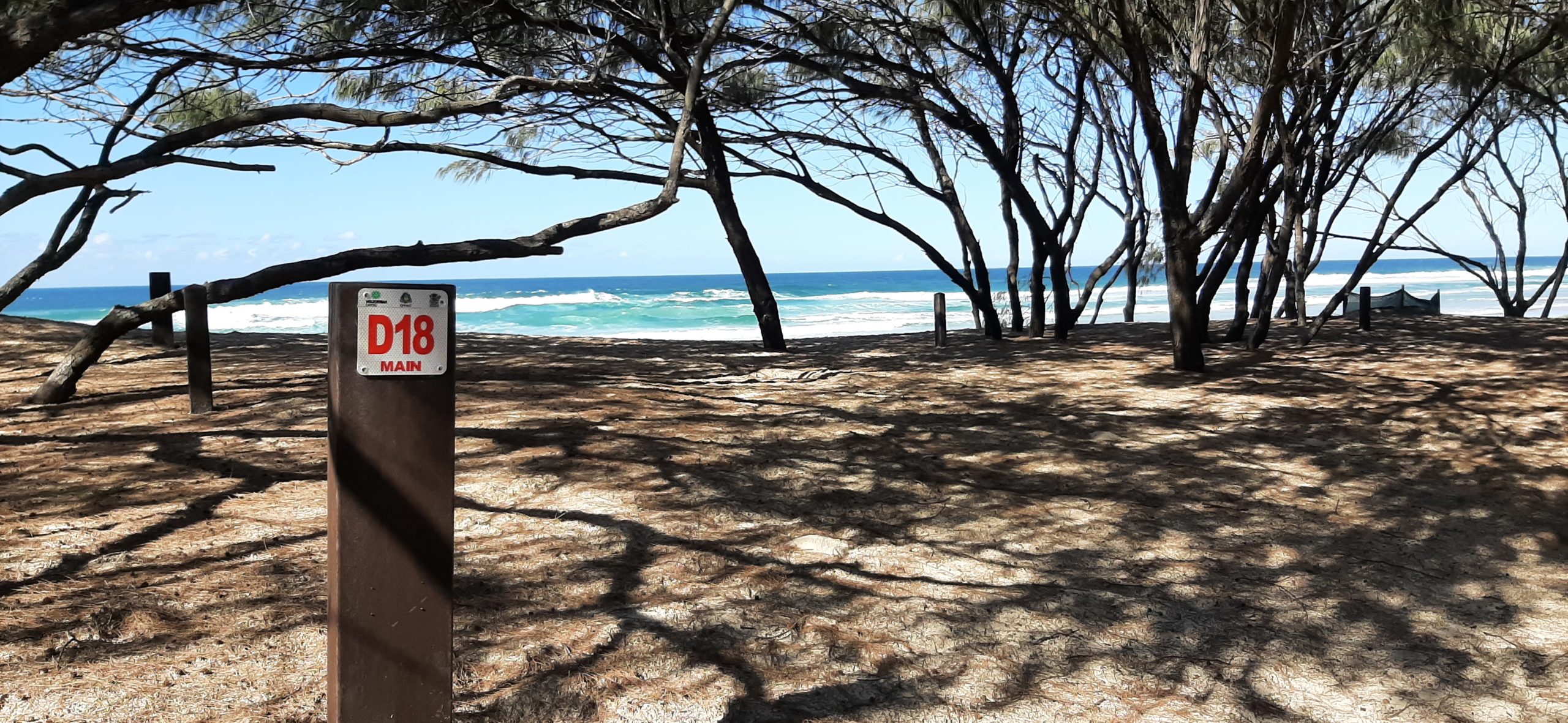 Minjerribah Camping reopens 322 sites after cyclone... | National ...